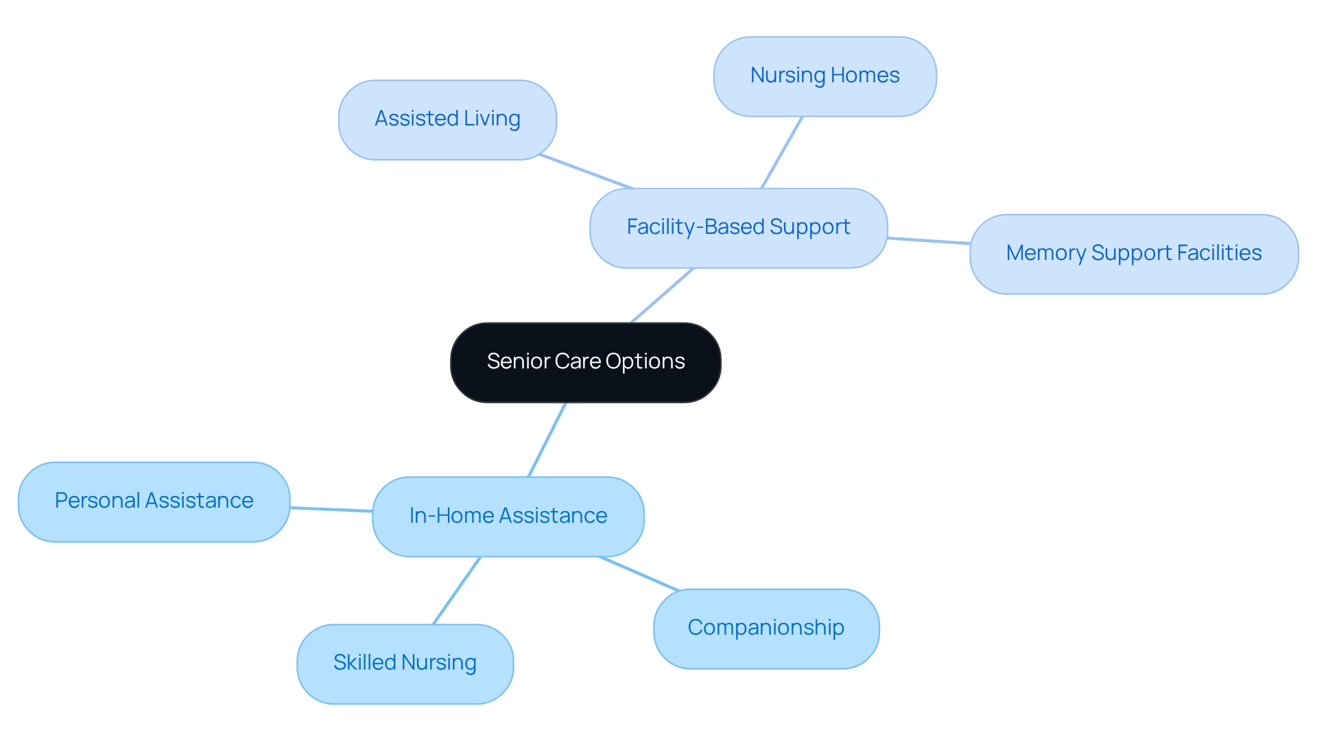 The central node represents the overall topic of senior care options, while the branches show the two main categories and their specific services. Follow the lines to see how they connect and relate to the overall theme. The central node represents the overall topic of senior care options, while the branches show the two main categories and their specific services. Follow the lines to see how they connect and relate to the overall theme.