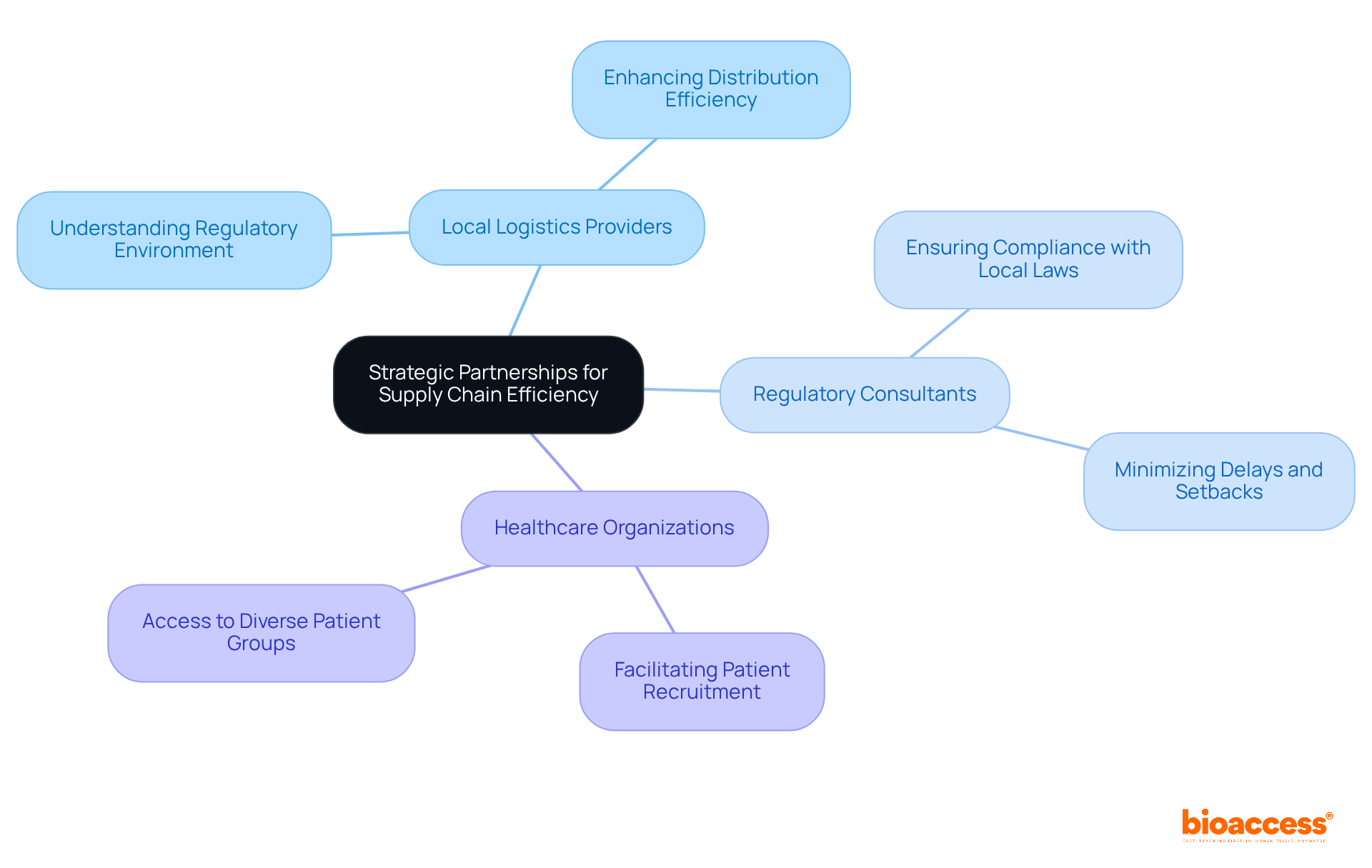 The central node represents the main theme of strategic partnerships. Each branch shows a different stakeholder involved in the supply chain, with sub-branches detailing their specific roles and contributions to enhance efficiency.