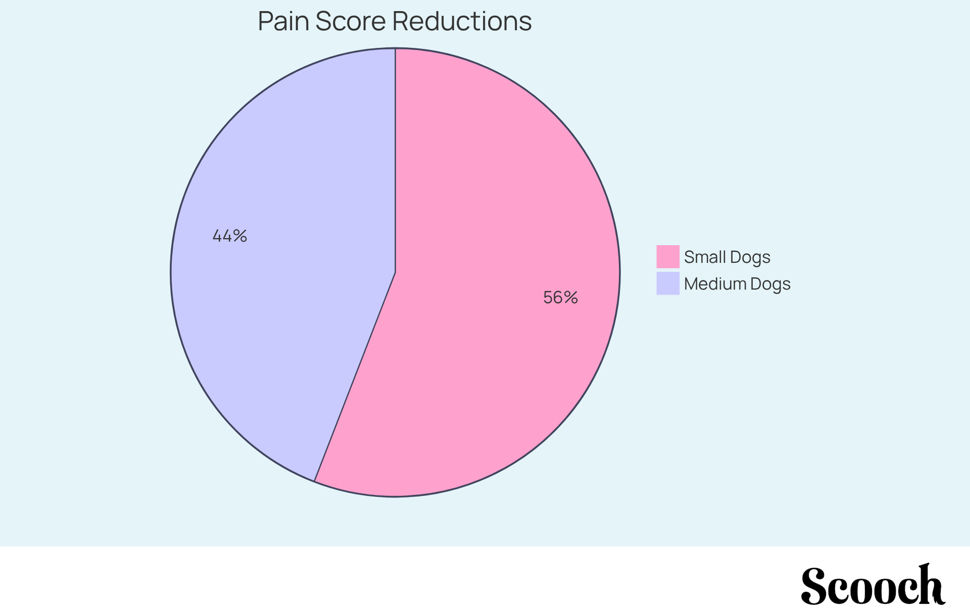 This chart shows how much pain scores decreased for small and medium dogs after using GWF Nutrition's supplements. The bigger the slice, the more significant the reduction in pain.