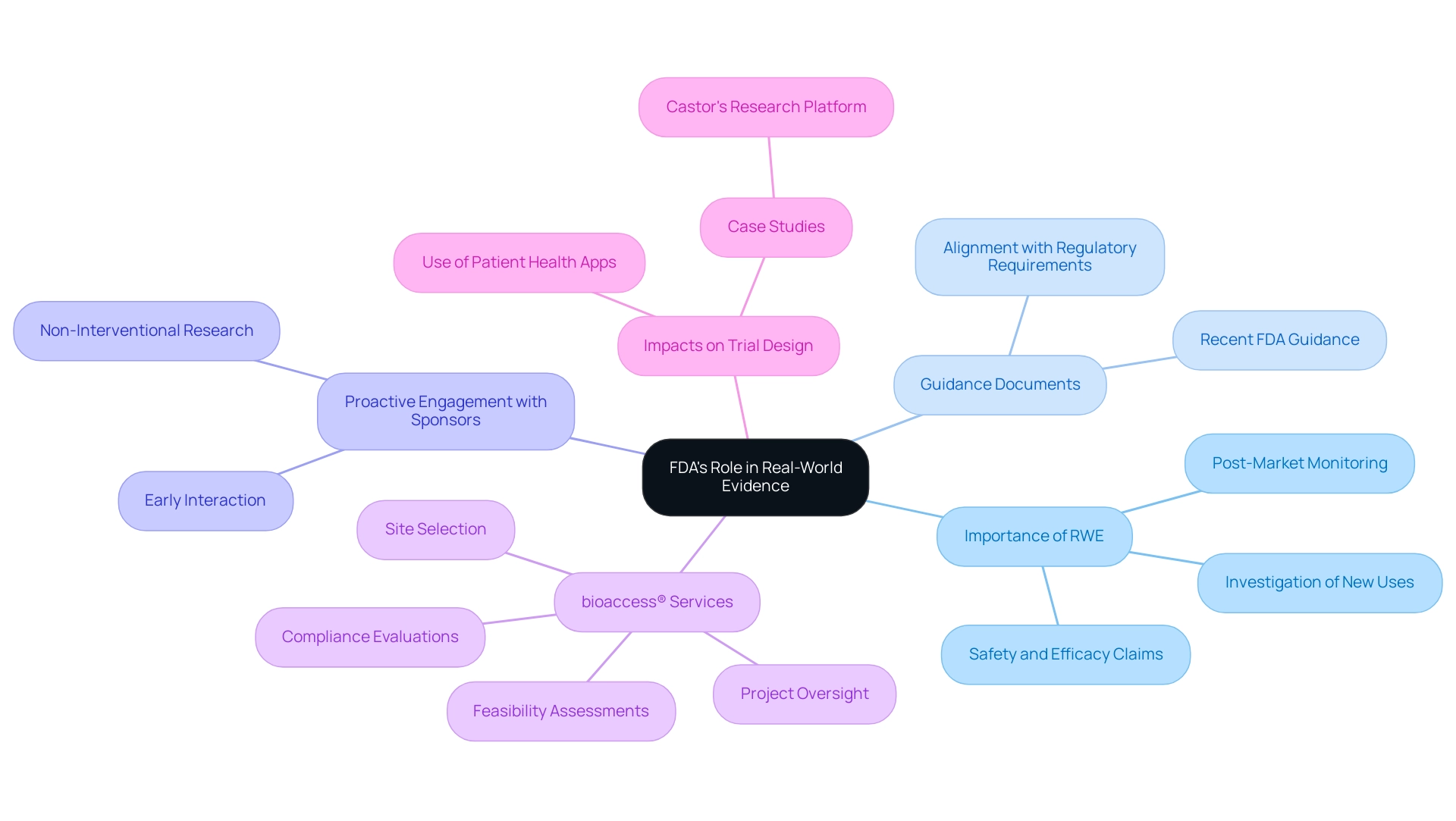 The central node represents the FDA’s role, with branches showing key areas of focus and sub-branches detailing specific aspects related to each area.