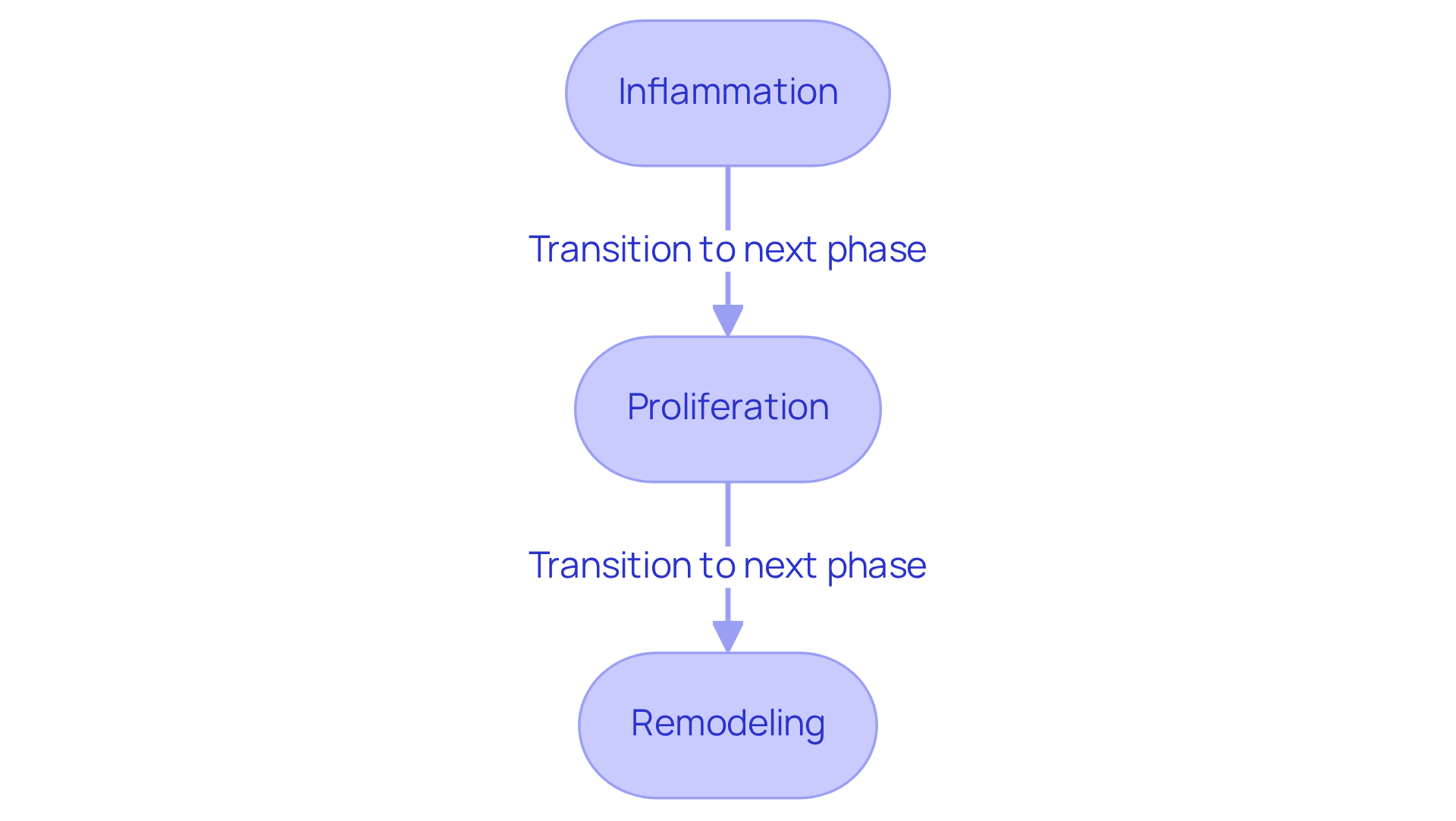 Each box represents a phase in the tendon healing process. Follow the arrows to see how healing progresses from inflammation to proliferation and finally to remodeling, with key actions highlighted in each phase. Each box represents a phase in the tendon healing process. Follow the arrows to see how healing progresses from inflammation to proliferation and finally to remodeling, with key actions highlighted in each phase.