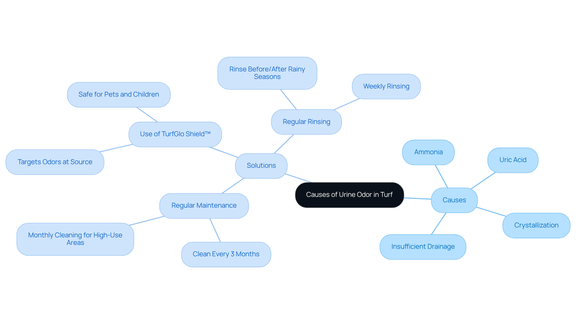 The center shows the main topic, while branches lead to causes of odor and solutions. Each color-coded branch helps you see how to tackle the problem effectively.
