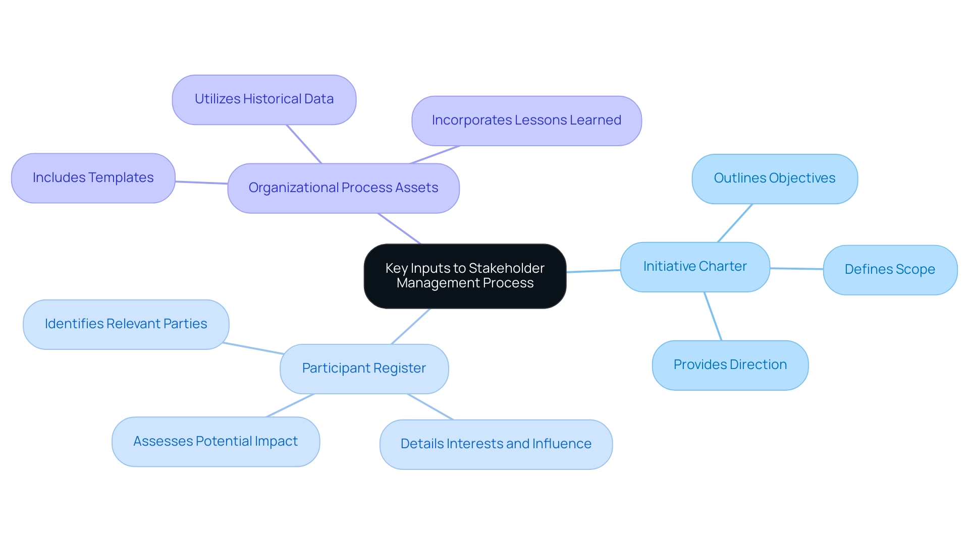 Each branch represents a critical input to the stakeholder management process, with sub-branches detailing their roles and significance.