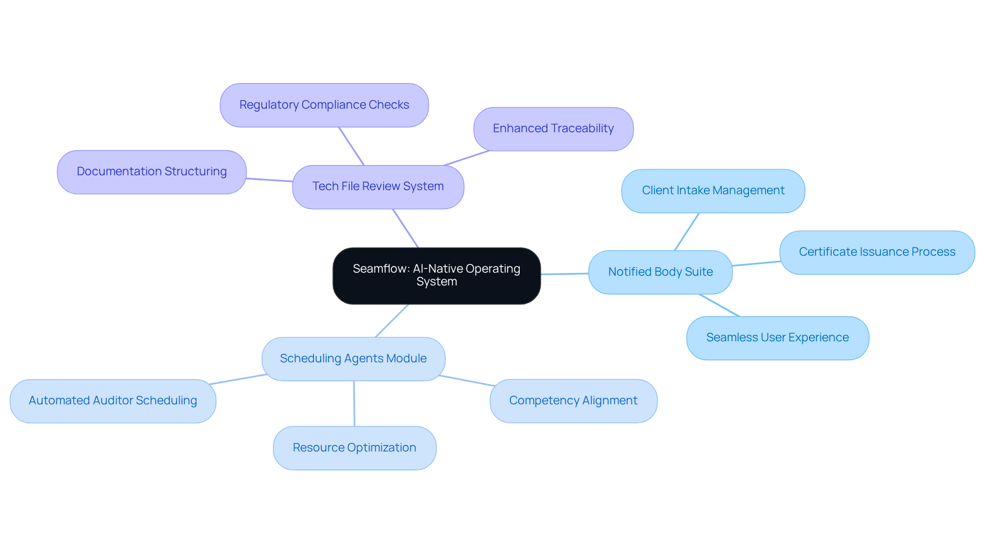 The center represents Seamflow, and the branches show its main features. Each feature has its own sub-branches explaining what it does and how it helps TIC organizations.