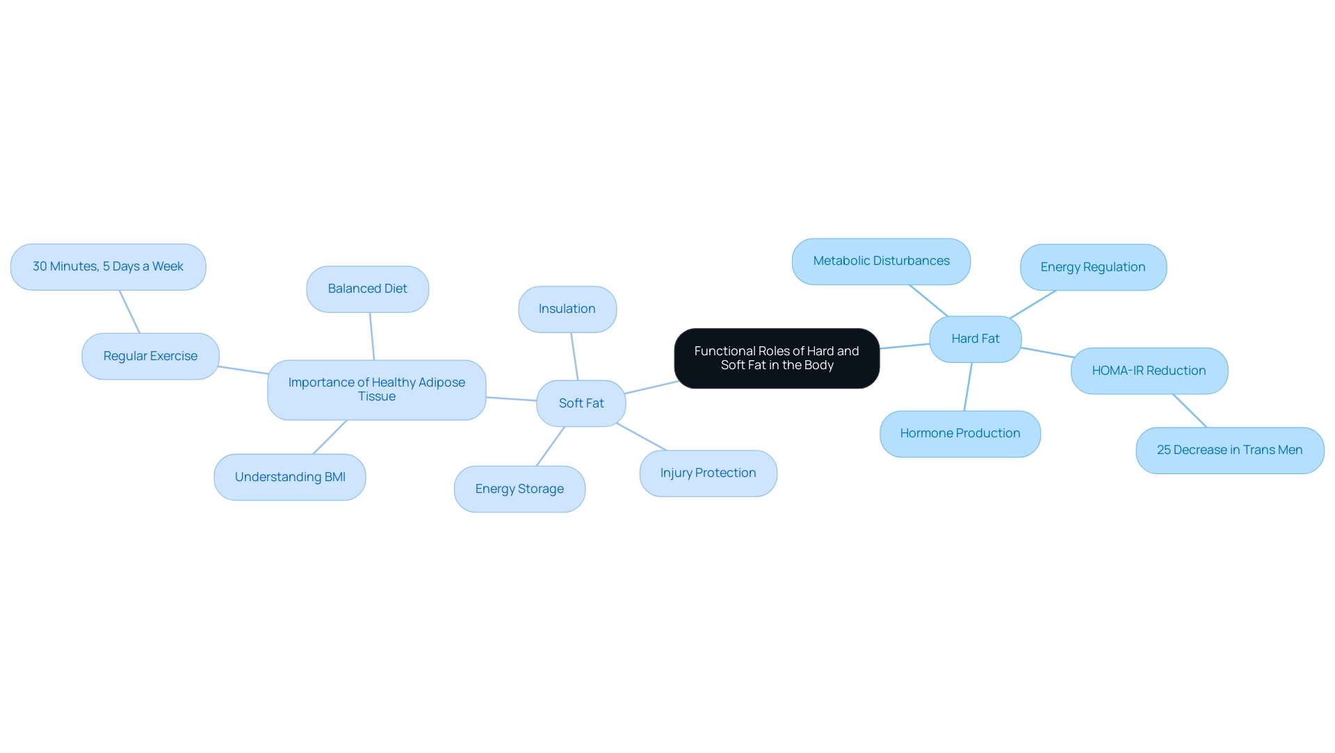 Each branch represents either hard or soft fat, with sub-branches detailing their specific functions and health impacts.