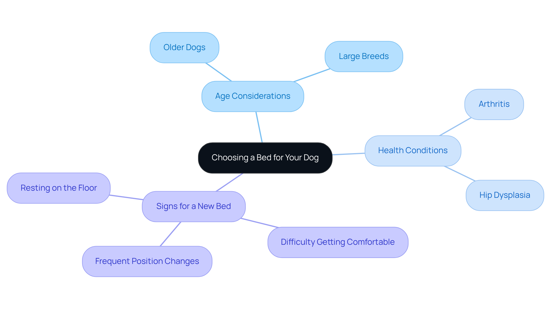 The center shows the main topic, and branches illustrate different aspects. Each color-coded branch helps you see how age and health affect the choice of a bed, along with signs your dog might need a new one.