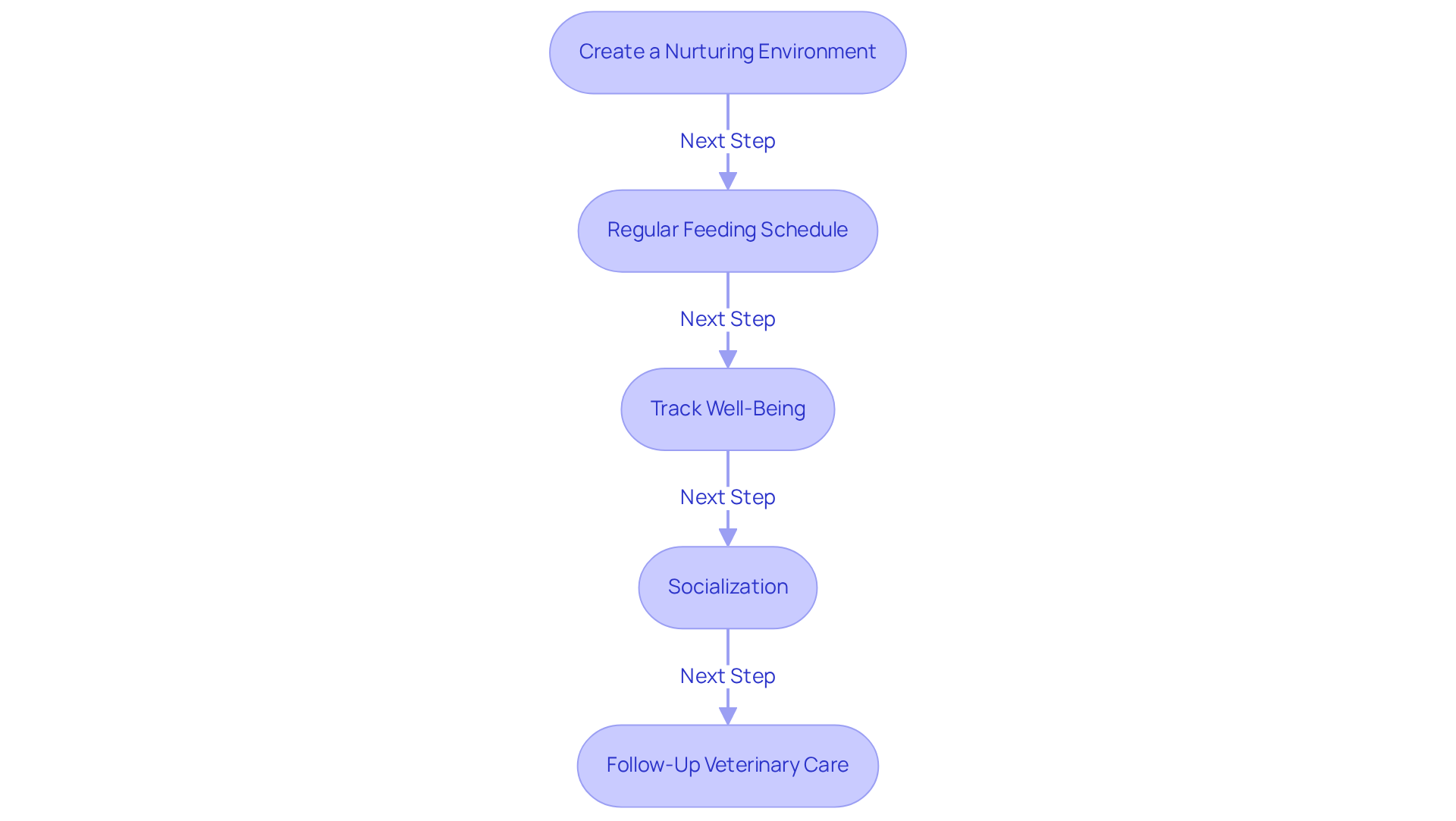 Each box represents an important step in caring for young cats. Follow the arrows to see how each strategy contributes to their recovery process — from creating a safe space to ensuring they receive regular veterinary check-ups.