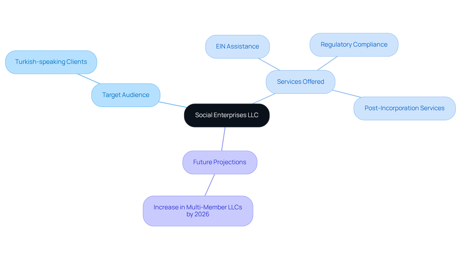 The center represents Social Enterprises LLC, with branches showing who they serve, what services they provide, and what to expect in the future. Each branch helps you see how everything connects. The center represents Social Enterprises LLC, with branches showing who they serve, what services they provide, and what to expect in the future. Each branch helps you see how everything connects.