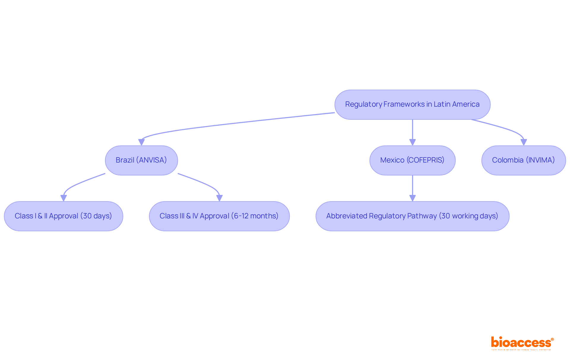 This flowchart shows the steps and timelines for getting cardiovascular equipment approved in different Latin American countries. Each box represents a country and its specific regulatory body, with arrows indicating the flow of the approval process.