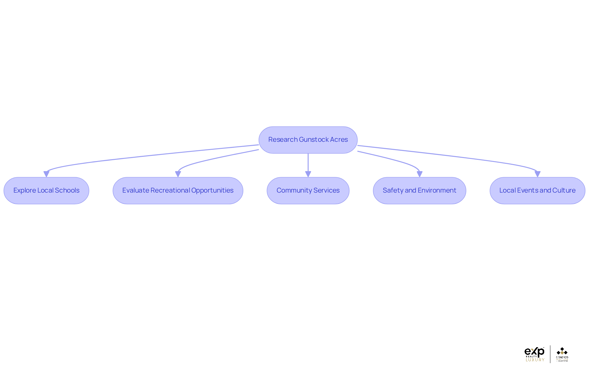 Each box represents a key area to investigate when considering a move to Gunstock Acres. Follow the arrows to see the order of steps you should take to gather important information.