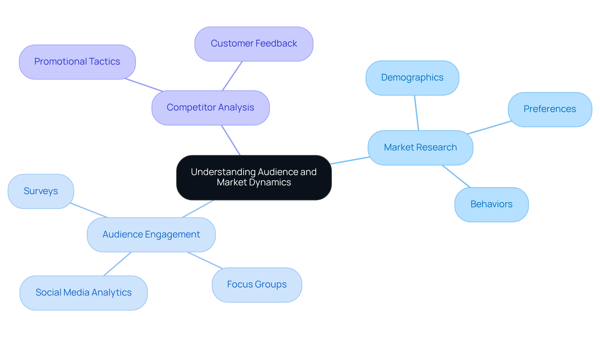 Start at the center with the main theme, then follow the branches to explore different strategies and insights. Each branch represents a key area of focus, helping you see how they connect and contribute to understanding your audience better.