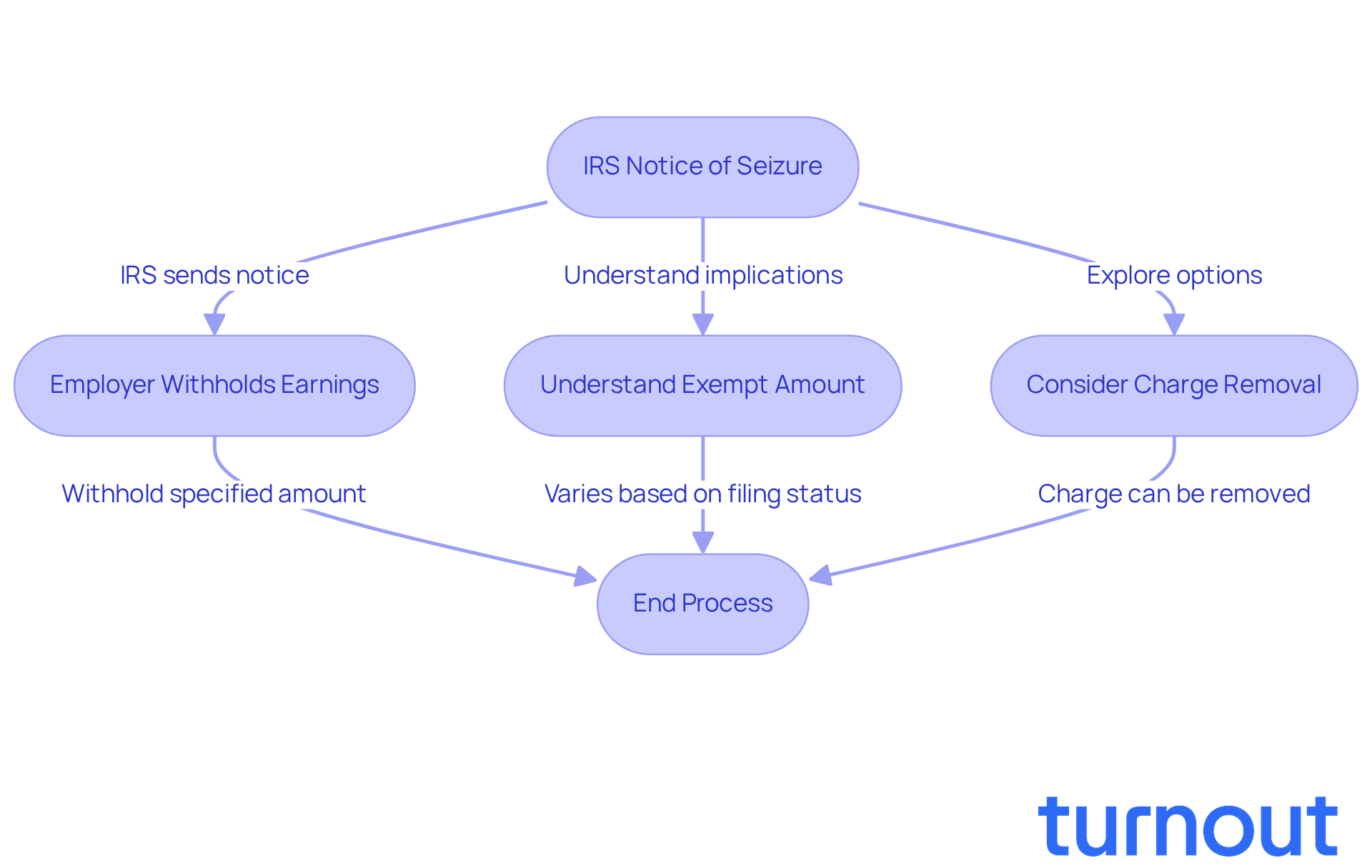 Follow the arrows to see how the process unfolds from the IRS notice to potential actions you can take. Each step shows what happens next and what you can do to address the situation.