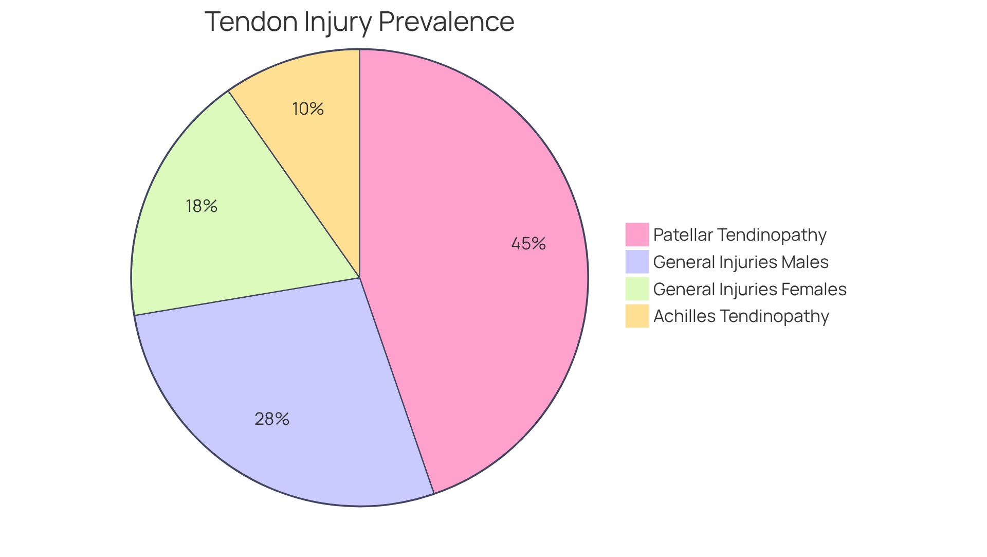 This pie chart shows how common different tendon injuries are among people. Each slice represents a specific condition, and the size of the slice indicates how many people are affected. The bigger the slice, the more common that injury is. For example, the Achilles tendinopathy slice shows that 6% of people experience this issue.