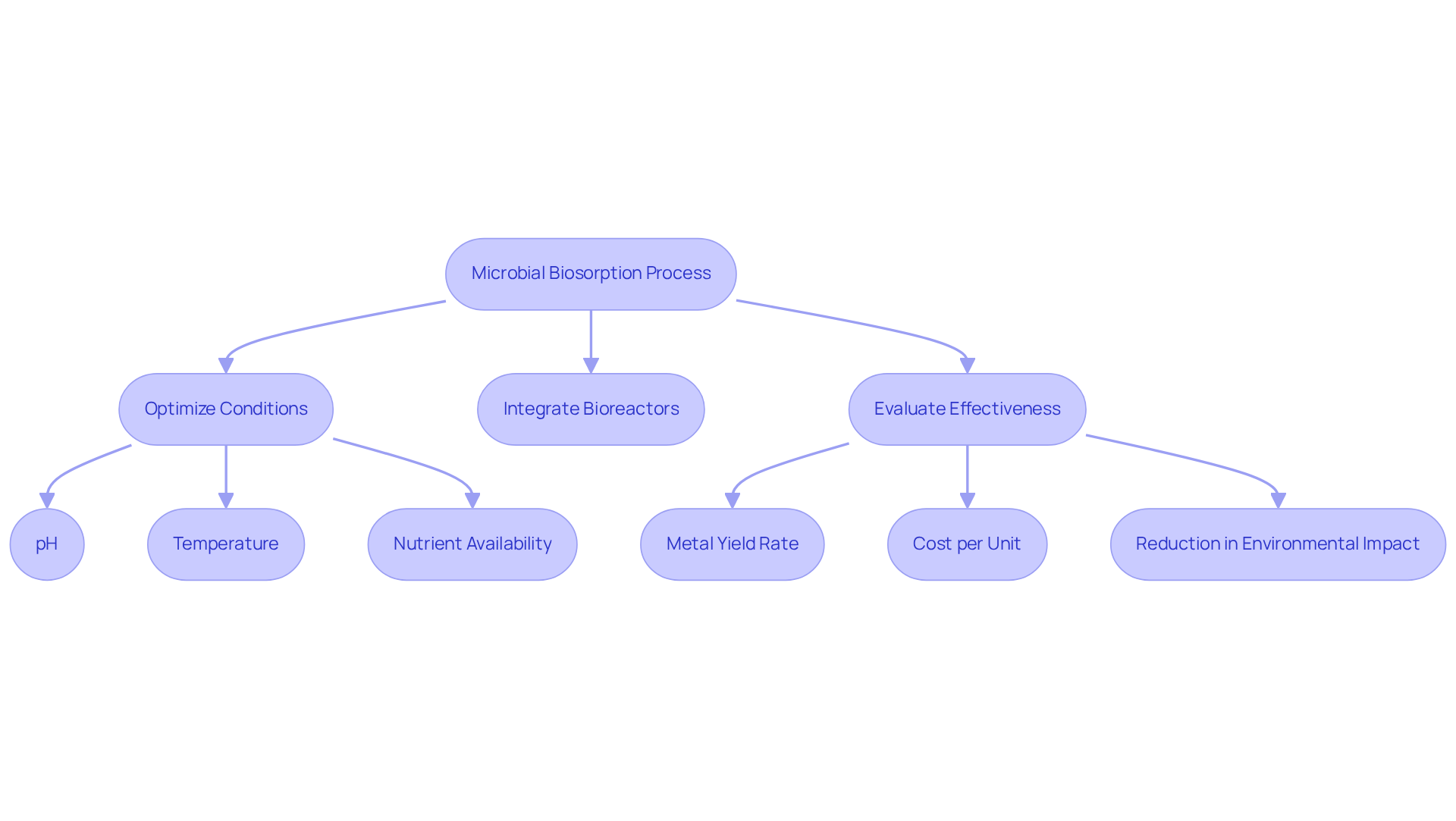This flowchart outlines the steps in the microbial biosorption process. Start with the main process, then follow the arrows to see how to optimize conditions and evaluate effectiveness. Each box represents a key component of the process.