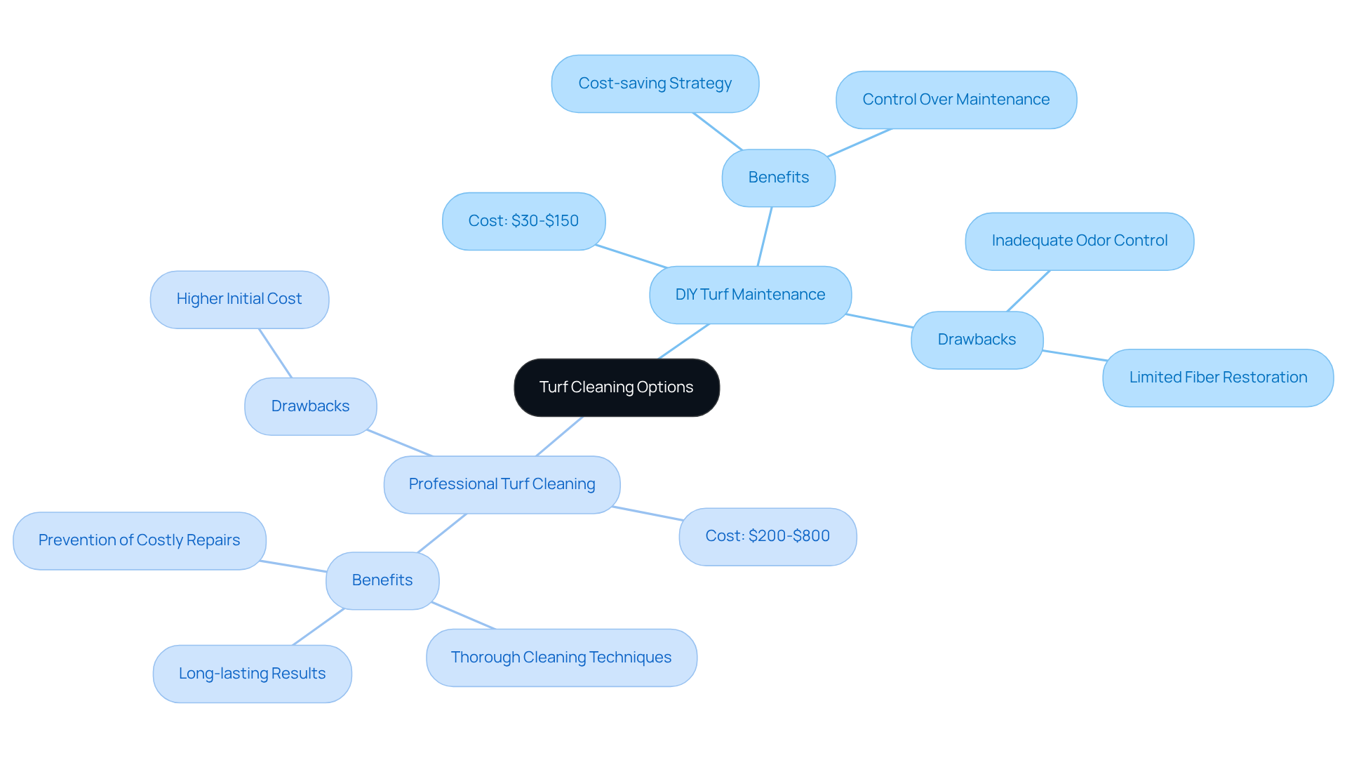 This mindmap shows two main approaches to turf cleaning: DIY and professional services. Each branch outlines the costs, benefits, and drawbacks of each option, helping you see which might be the best choice for your needs.