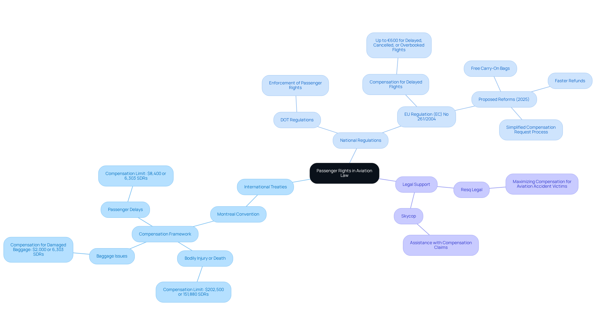 This mindmap illustrates the key components of passenger rights in aviation law. Start at the center with the main topic, then explore the branches to see how international treaties, national regulations, and legal support interact to protect your rights as a traveler. This mindmap illustrates the key components of passenger rights in aviation law. Start at the center with the main topic, then explore the branches to see how international treaties, national regulations, and legal support interact to protect your rights as a traveler.