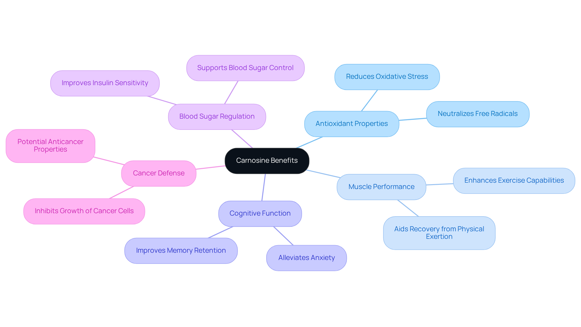 This mindmap illustrates the various benefits of carnosine. Start at the center with the main topic, then follow the branches to explore how carnosine can help with muscle performance, cognitive function, blood sugar levels, and more. Each branch shows specific ways carnosine can support your health. This mindmap illustrates the various benefits of carnosine. Start at the center with the main topic, then follow the branches to explore how carnosine can help with muscle performance, cognitive function, blood sugar levels, and more. Each branch shows specific ways carnosine can support your health.