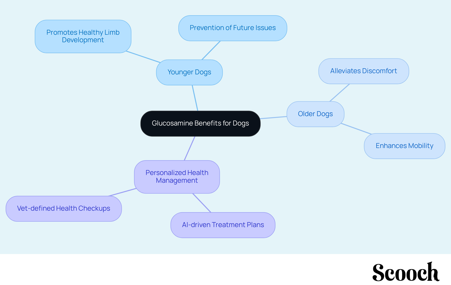 The central node represents the main topic, with branches showing specific benefits for younger and older dogs, along with personalized health management options — follow the branches to see how each part contributes to overall canine health.