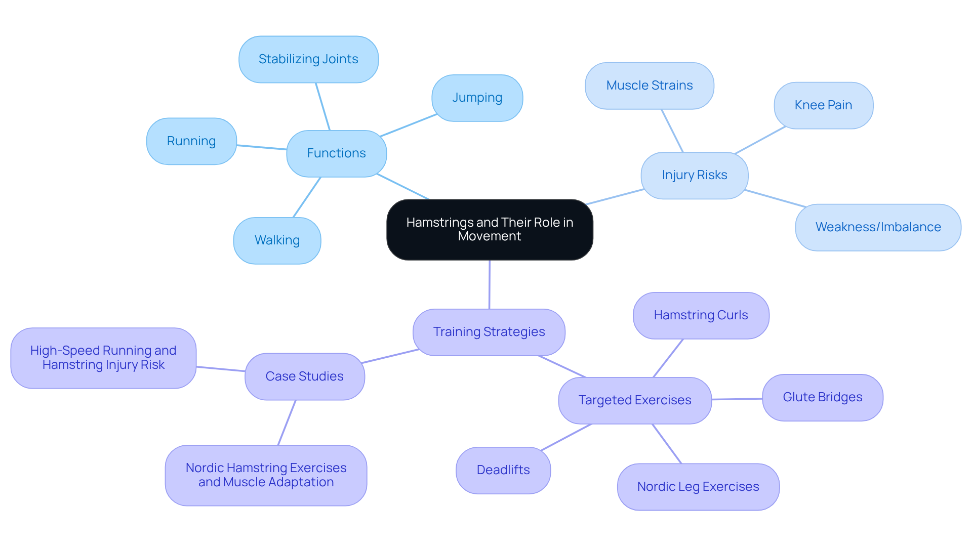 This mindmap illustrates how hamstrings contribute to movement and stability, the risks associated with weakness, and effective training strategies. Each branch represents a key aspect of hamstring function and care, helping you visualize the connections between them. This mindmap illustrates how hamstrings contribute to movement and stability, the risks associated with weakness, and effective training strategies. Each branch represents a key aspect of hamstring function and care, helping you visualize the connections between them.
