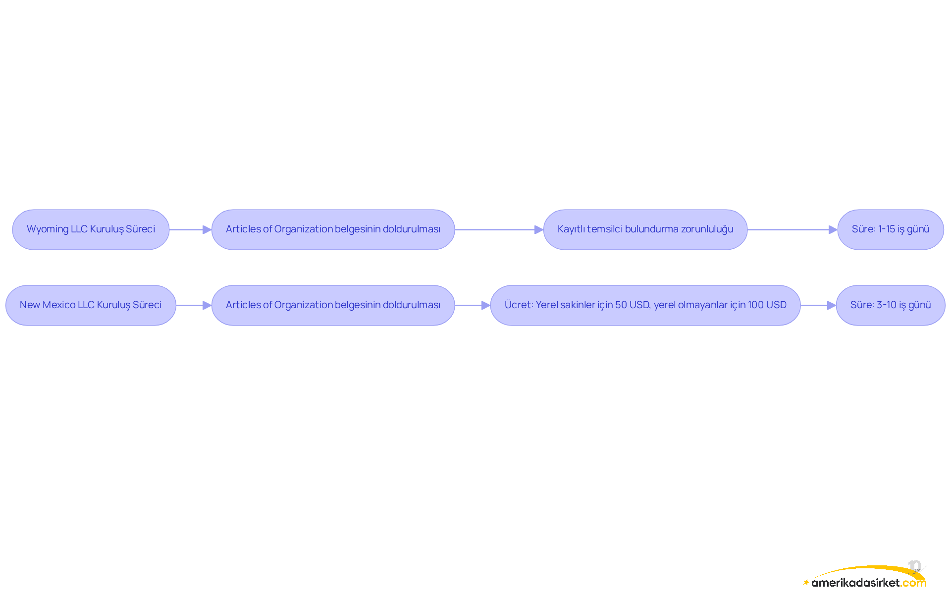 Her kutu bir adımı temsil eder. Oklar, adımların nasıl ilerlediğini gösterir. Wyoming ve New Mexico süreçleri yan yana sunularak, hangi adımların hangi sırayla takip edilmesi gerektiği kolayca anlaşılabilir.