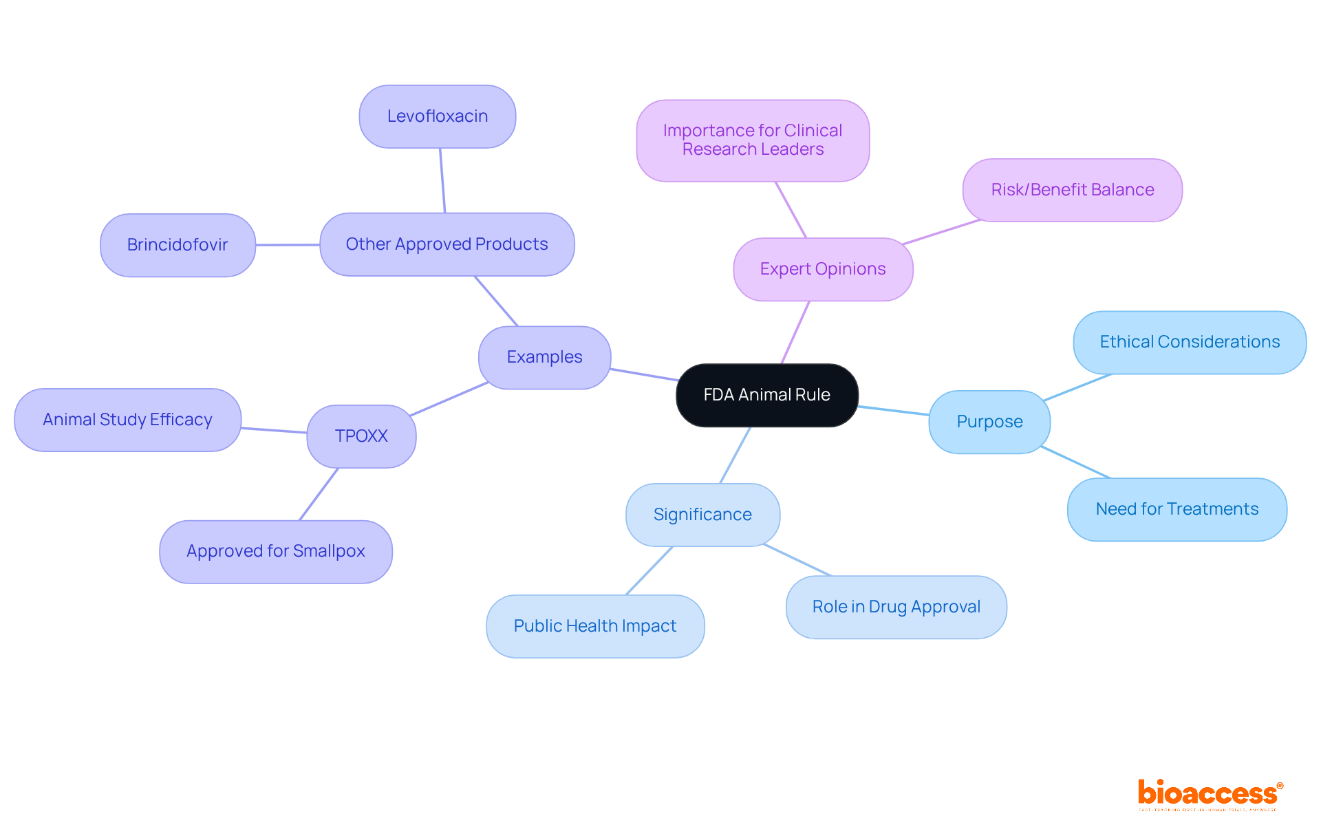 The central node represents the animal rule, while the branches show its various aspects. Each color-coded branch helps you see how different elements relate to the main topic, making it easier to understand the overall significance.