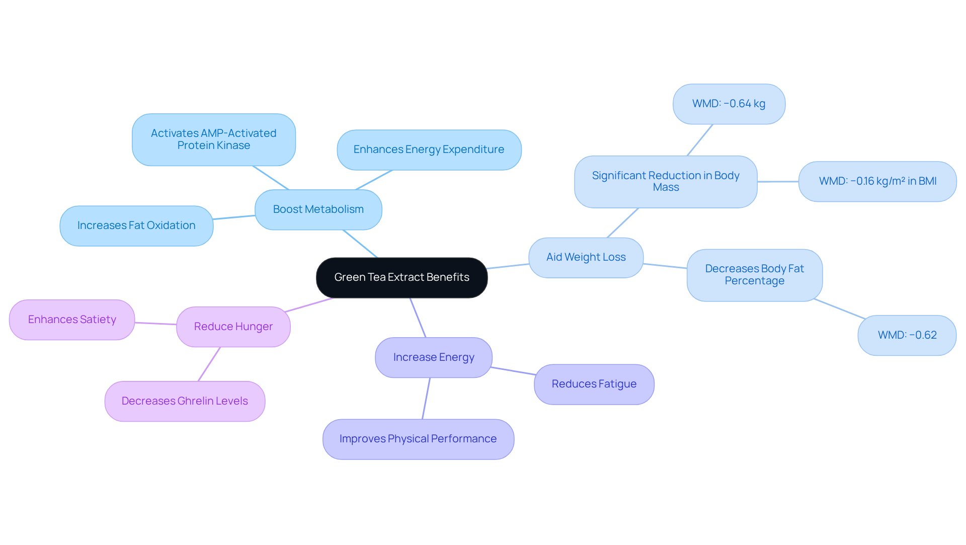 This mindmap shows how green tea extract can help seniors. Start at the center with the main benefits, then follow the branches to see how it boosts metabolism, aids weight loss, increases energy, and reduces hunger. This mindmap shows how green tea extract can help seniors. Start at the center with the main benefits, then follow the branches to see how it boosts metabolism, aids weight loss, increases energy, and reduces hunger.