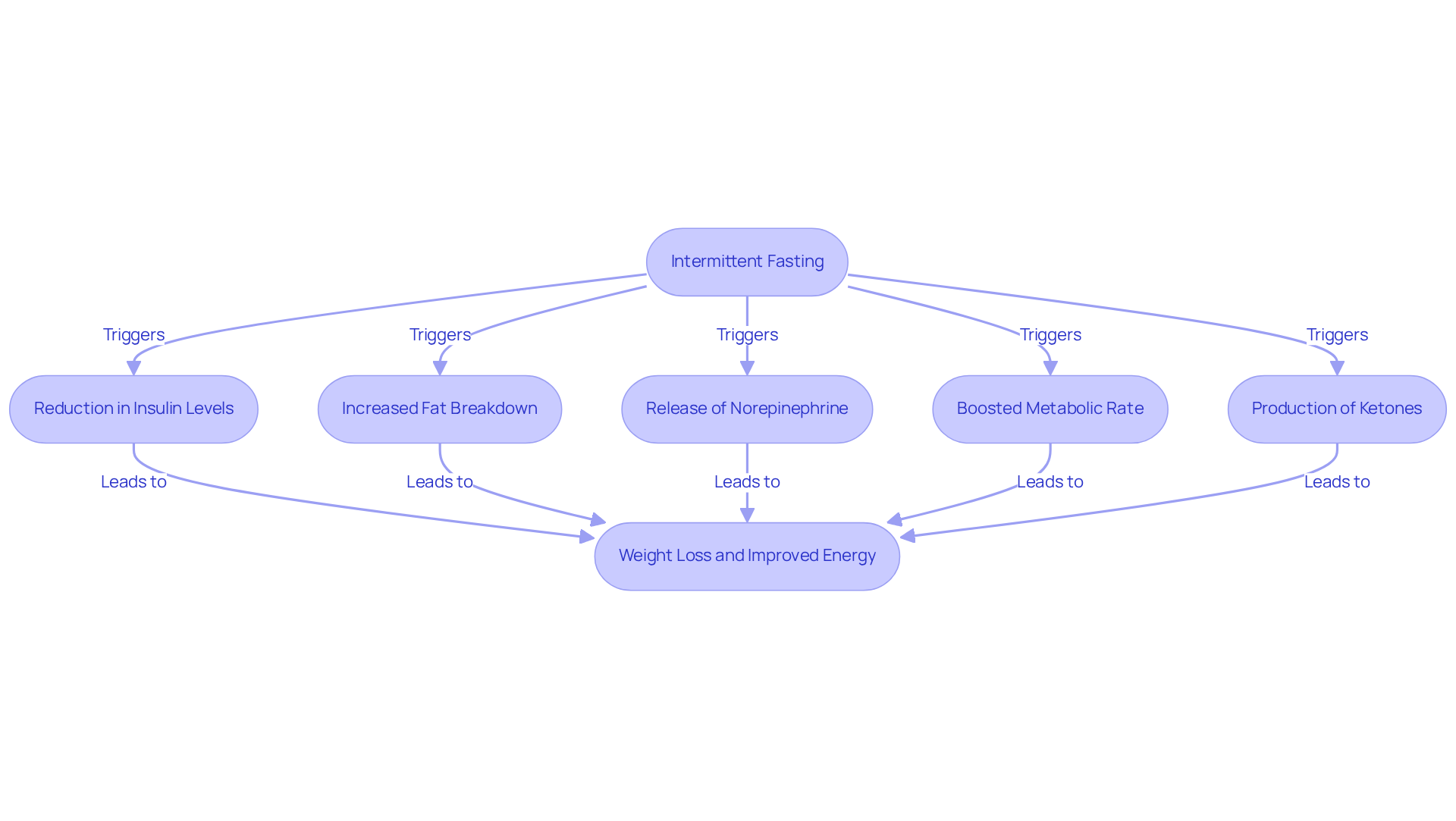 Follow the arrows to see how intermittent fasting triggers various changes in the body, leading to weight loss and improved energy levels. Each box represents a key change and its impact on your health.
