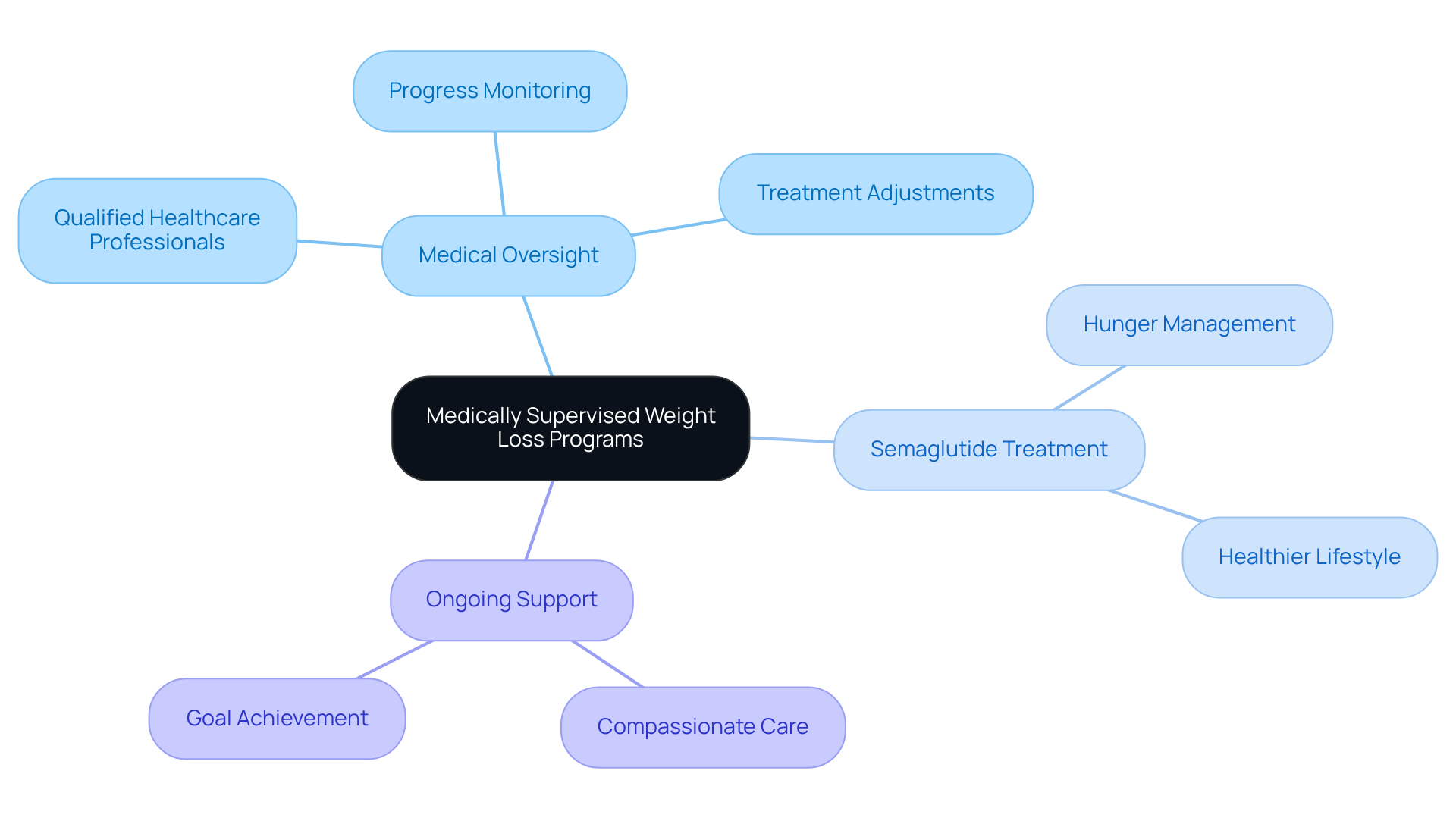 The central node represents the main program, while the branches show key components that ensure safety and effectiveness. Each color-coded branch highlights different aspects of the program, making it easy to see how they work together.