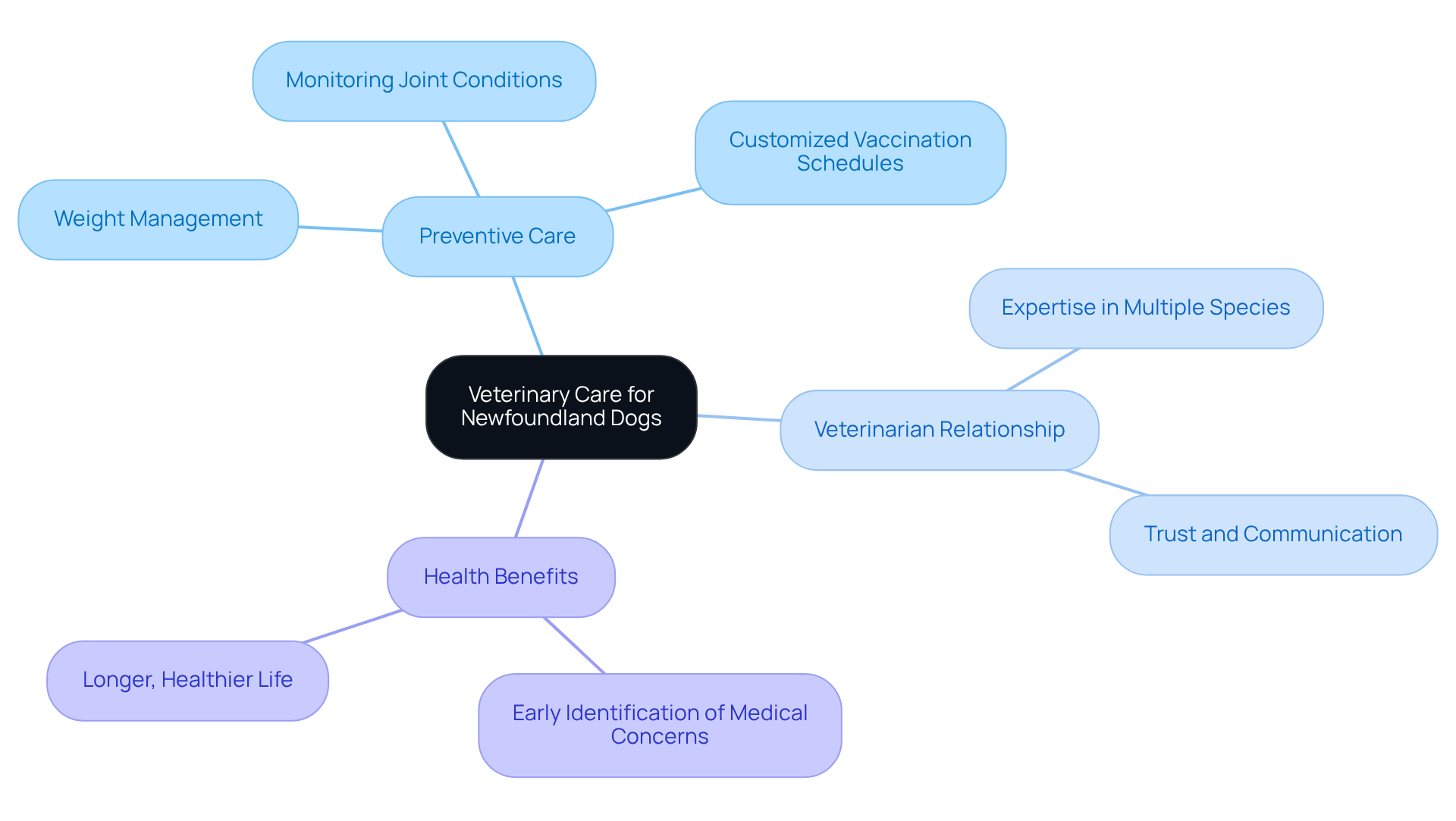 At the center is the importance of veterinary care, and as you move outwards, you’ll see specific areas to focus on for your dog's health, helping you understand how each part contributes to their well-being.