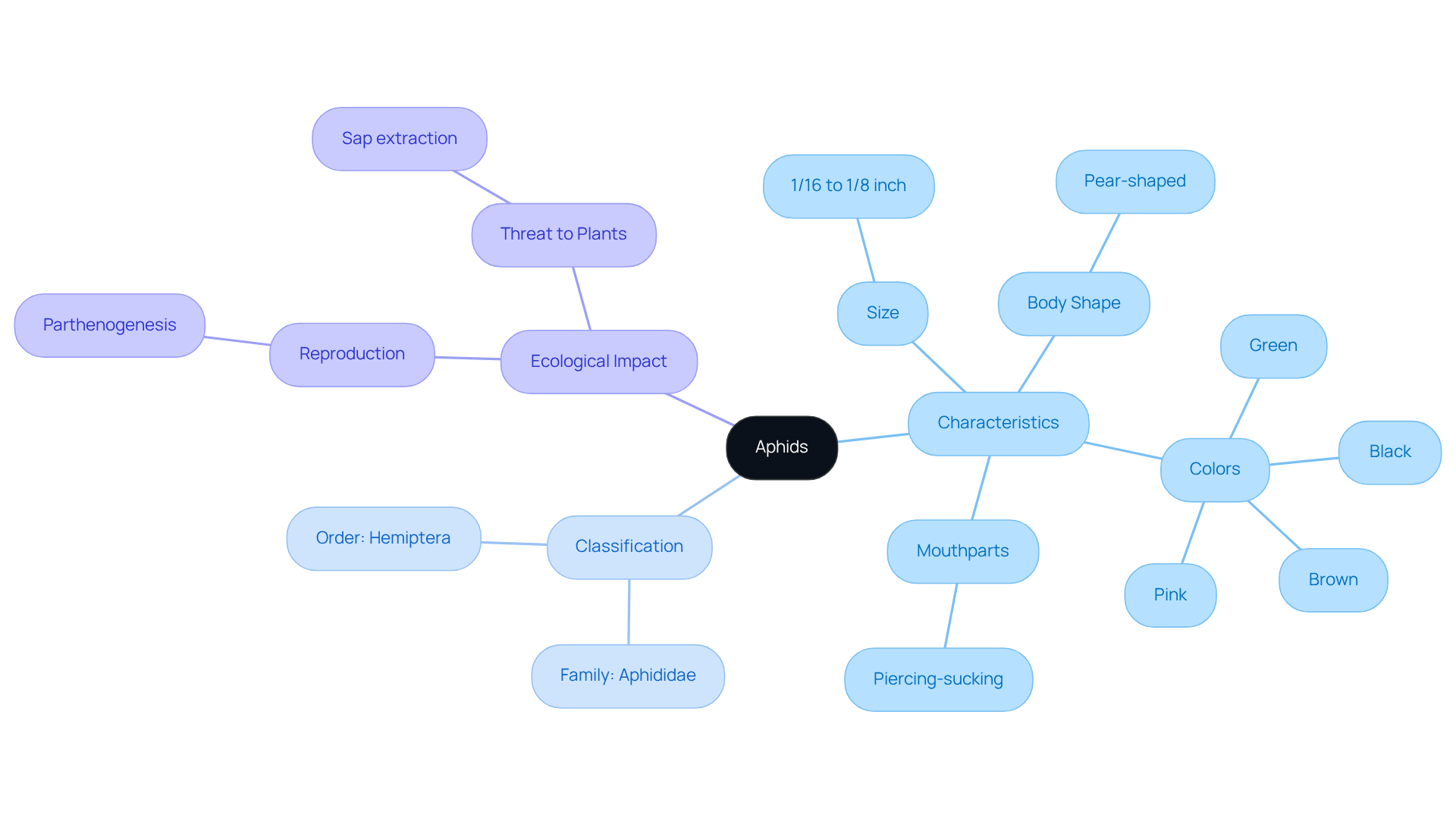 The central node represents aphids, and the branches show their key features and classifications. Each color-coded branch helps you easily identify different aspects of aphids, making it simple to understand their role in the ecosystem. The central node represents aphids, and the branches show their key features and classifications. Each color-coded branch helps you easily identify different aspects of aphids, making it simple to understand their role in the ecosystem.