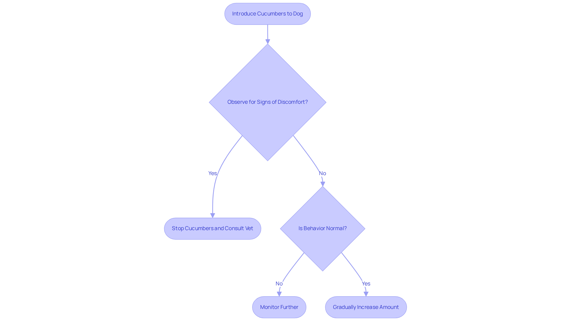 Follow the arrows to see what you should do at each step based on your dog's reactions. Each decision point helps determine the next action to take, ensuring your furry friend's health is prioritized. Follow the arrows to see what you should do at each step based on your dog's reactions. Each decision point helps determine the next action to take, ensuring your furry friend's health is prioritized.