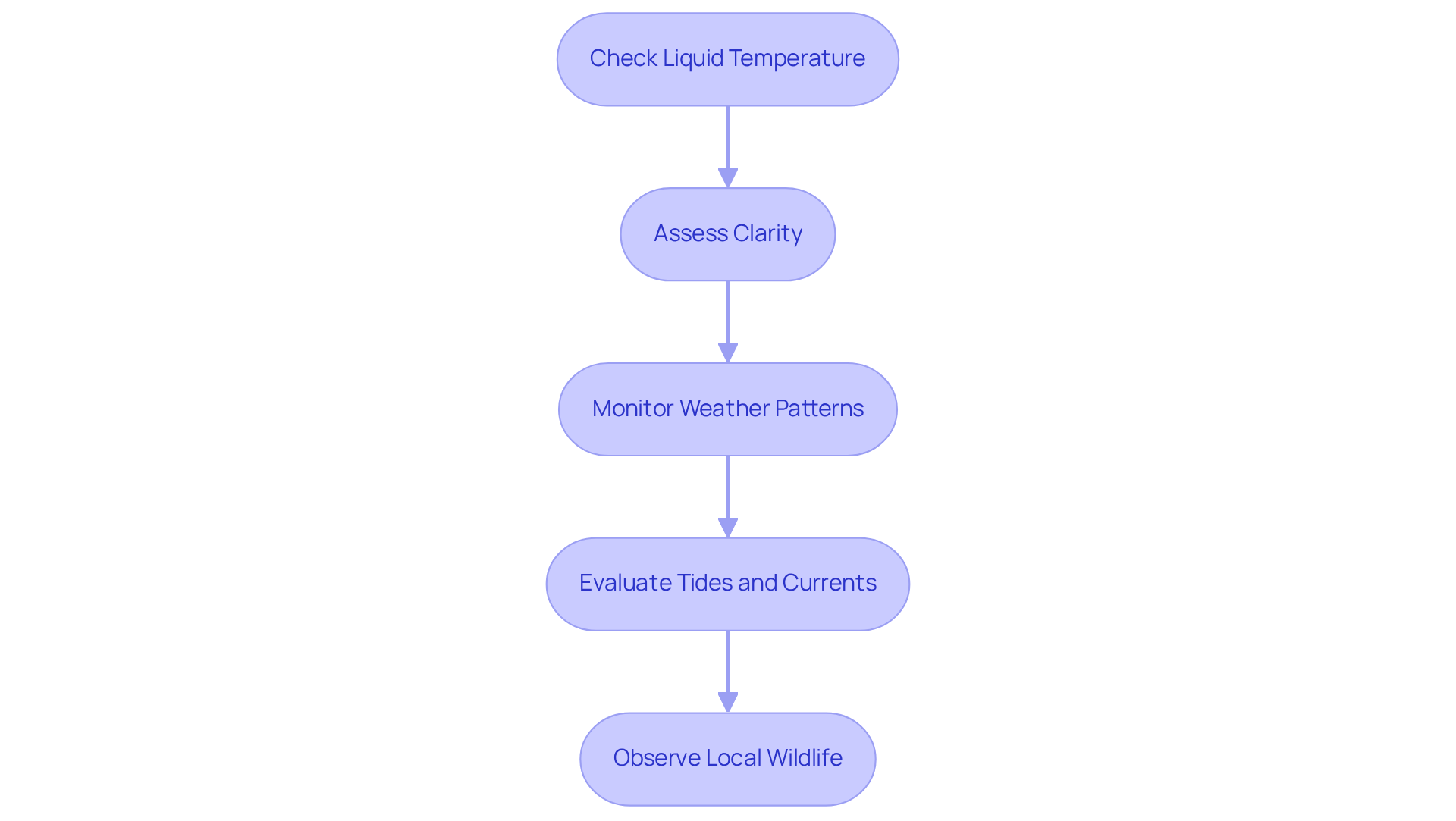 Each box represents a step you should take to evaluate fishing conditions. Follow the arrows to see the order in which you should perform these steps for the best fishing experience!