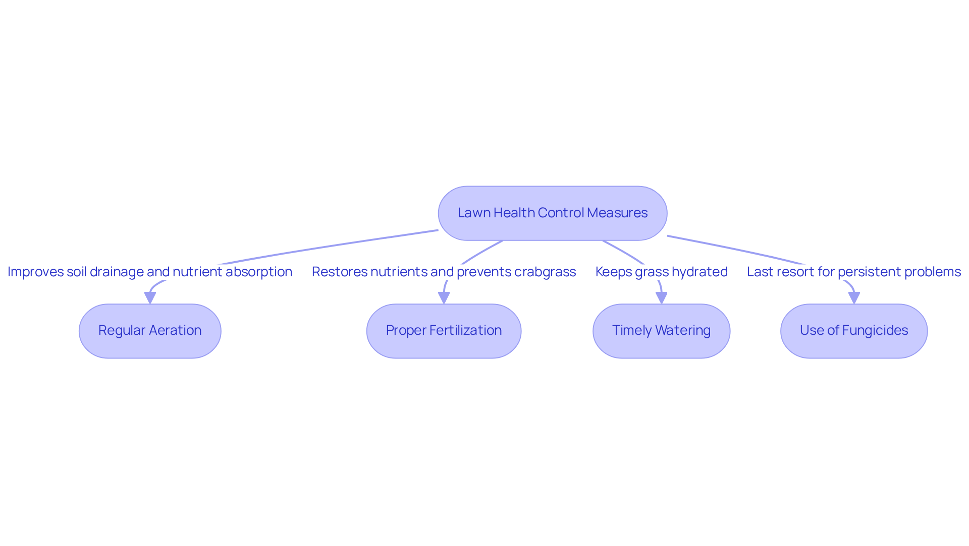 Follow the arrows to see the steps you can take for a healthy lawn. Each box represents an important action: aeration helps the soil, fertilization nourishes the grass, watering keeps it hydrated, and fungicides are a last resort for persistent problems. Follow the arrows to see the steps you can take for a healthy lawn. Each box represents an important action: aeration helps the soil, fertilization nourishes the grass, watering keeps it hydrated, and fungicides are a last resort for persistent problems.