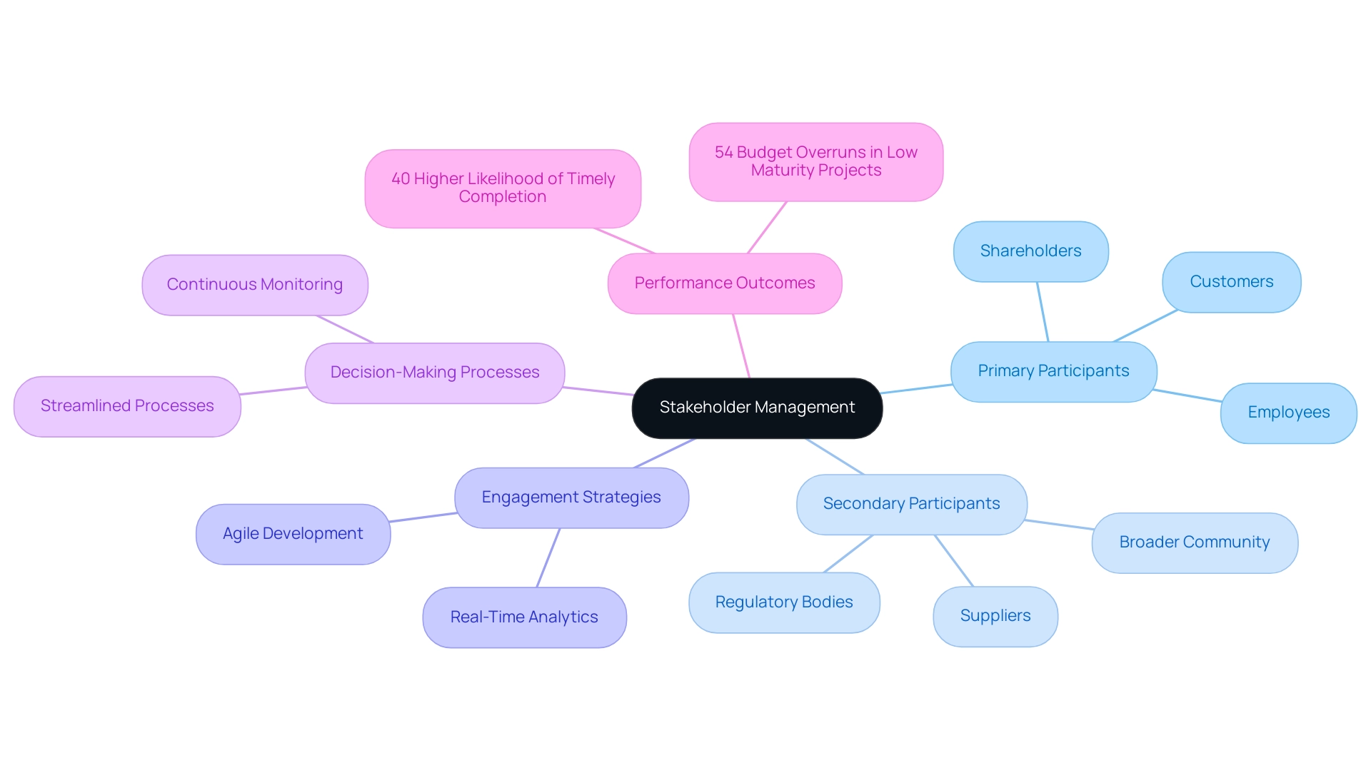 The central node represents the main concept; primary and secondary participant branches show categories, while strategy branches highlight approaches to managing stakeholders.