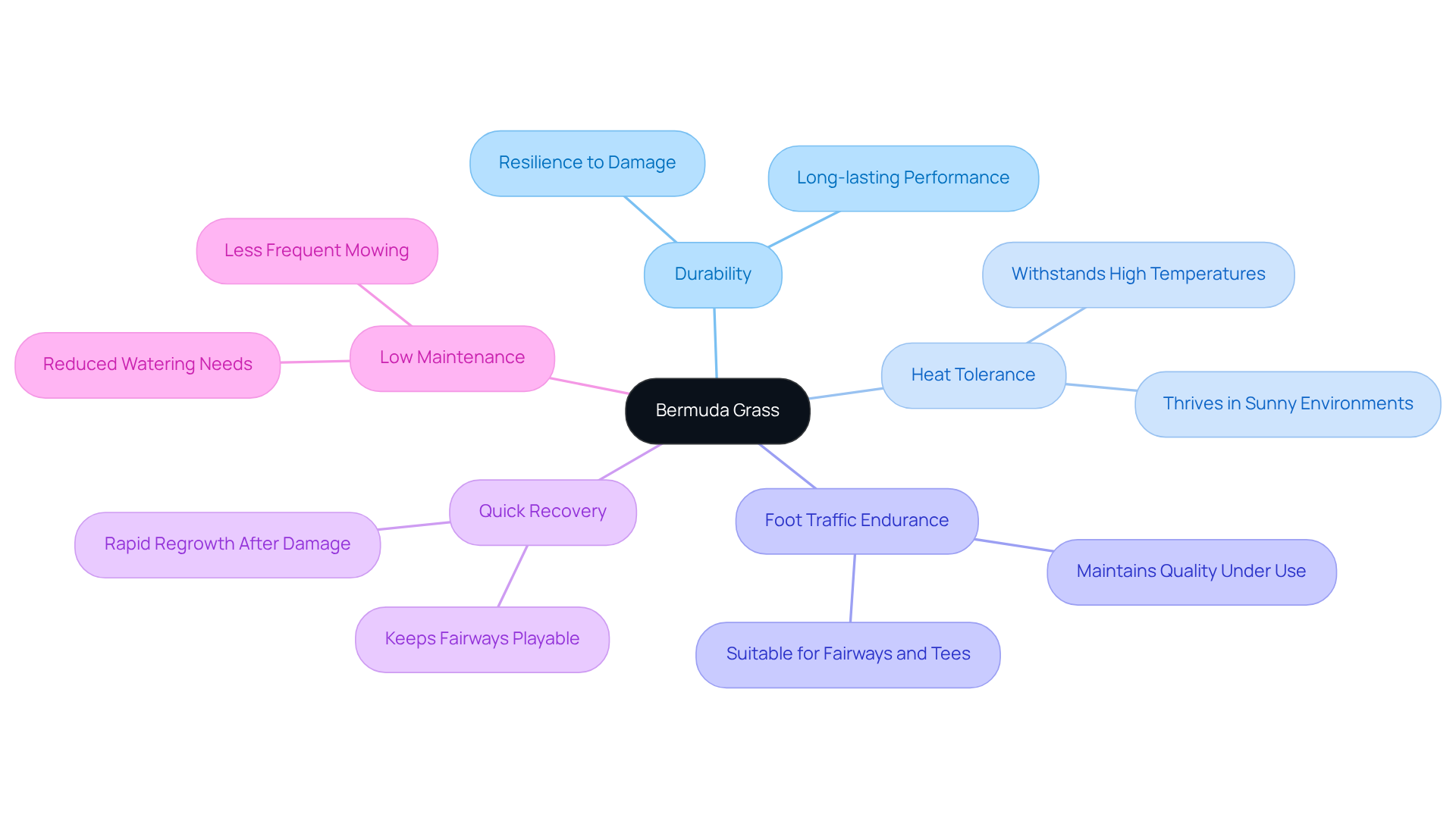 The central node represents Bermuda Grass, and each branch shows a key benefit. Follow the branches to understand why this grass is ideal for golf courses. The central node represents Bermuda Grass, and each branch shows a key benefit. Follow the branches to understand why this grass is ideal for golf courses.