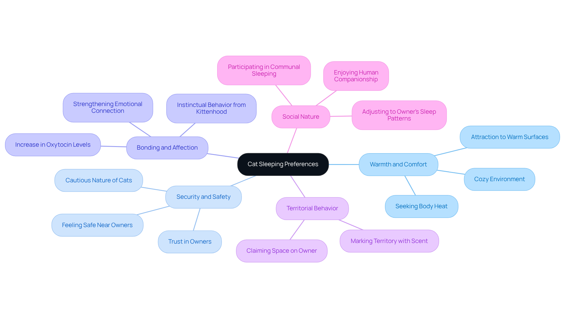 The center represents the main topic of cat sleeping habits, and each branch shows a reason why your cat may prefer to sleep near you. The sub-branches provide additional details on each reason, making it clear how they contribute to your cat's comfort and happiness.