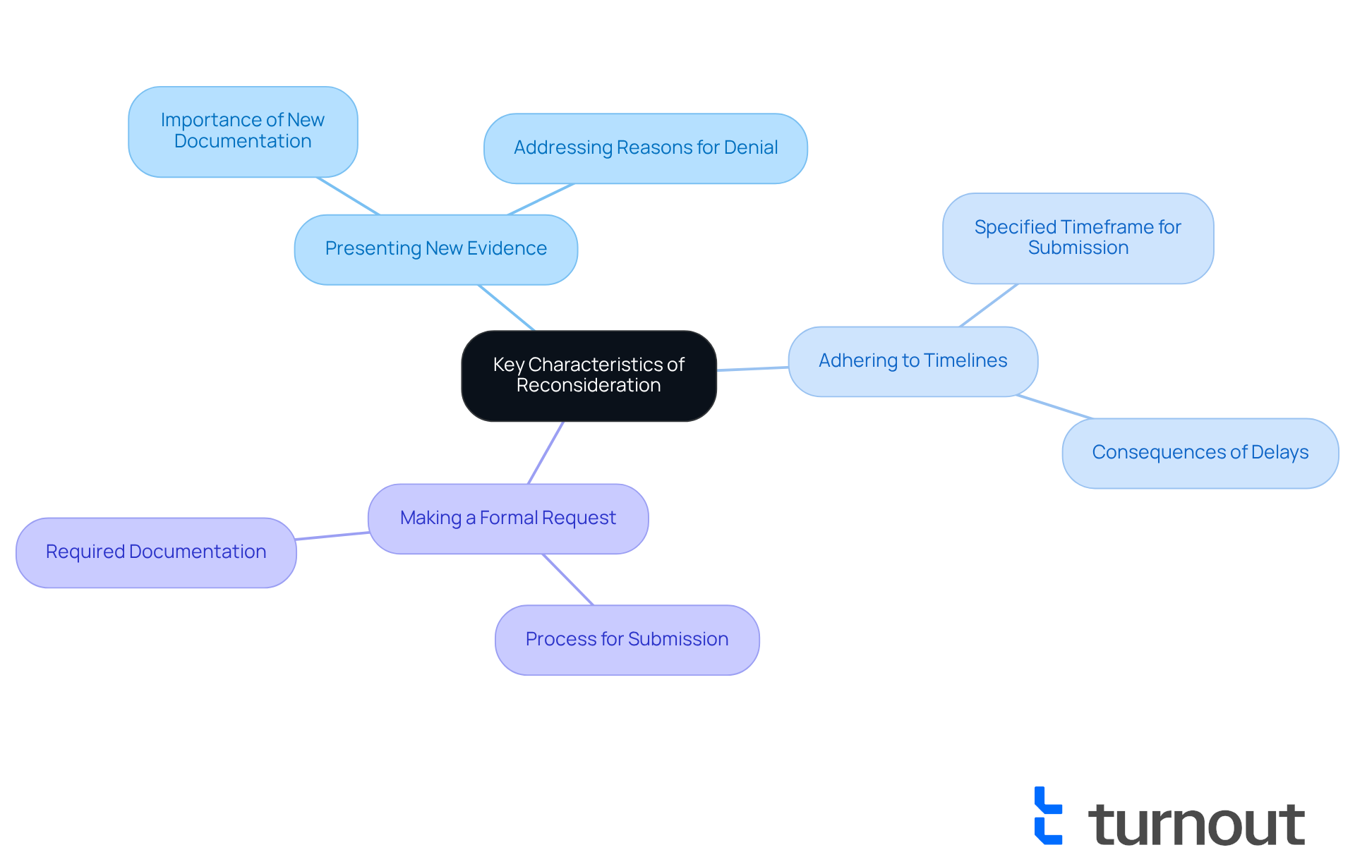 The central node represents the overall process of reconsideration. Each branch details a key characteristic that plays a crucial role in the review process, helping you understand what to focus on. The central node represents the overall process of reconsideration. Each branch details a key characteristic that plays a crucial role in the review process, helping you understand what to focus on.