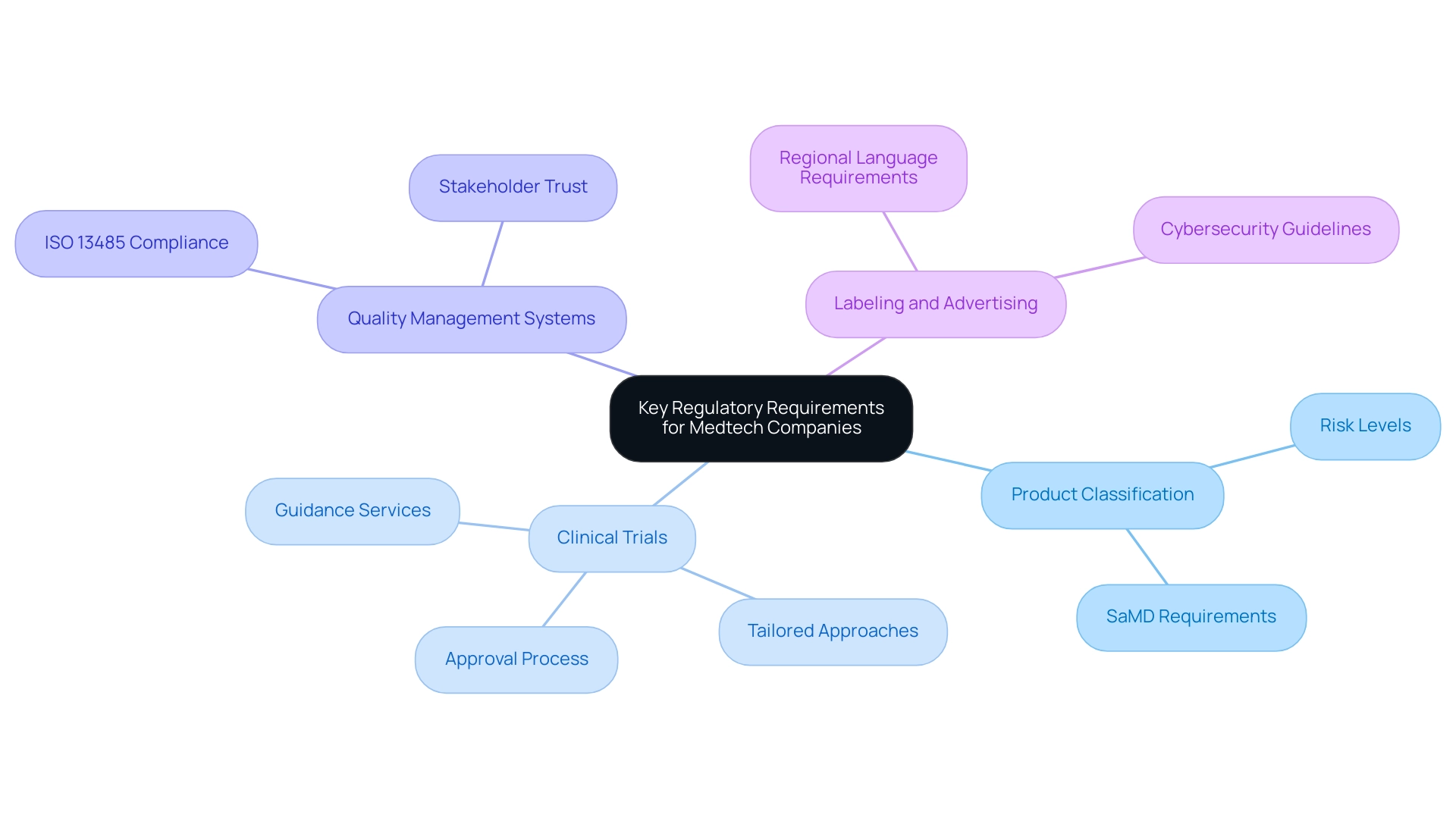 The central node represents the overall regulatory requirements, with branches showing the four key areas, each with their respective subcategories.