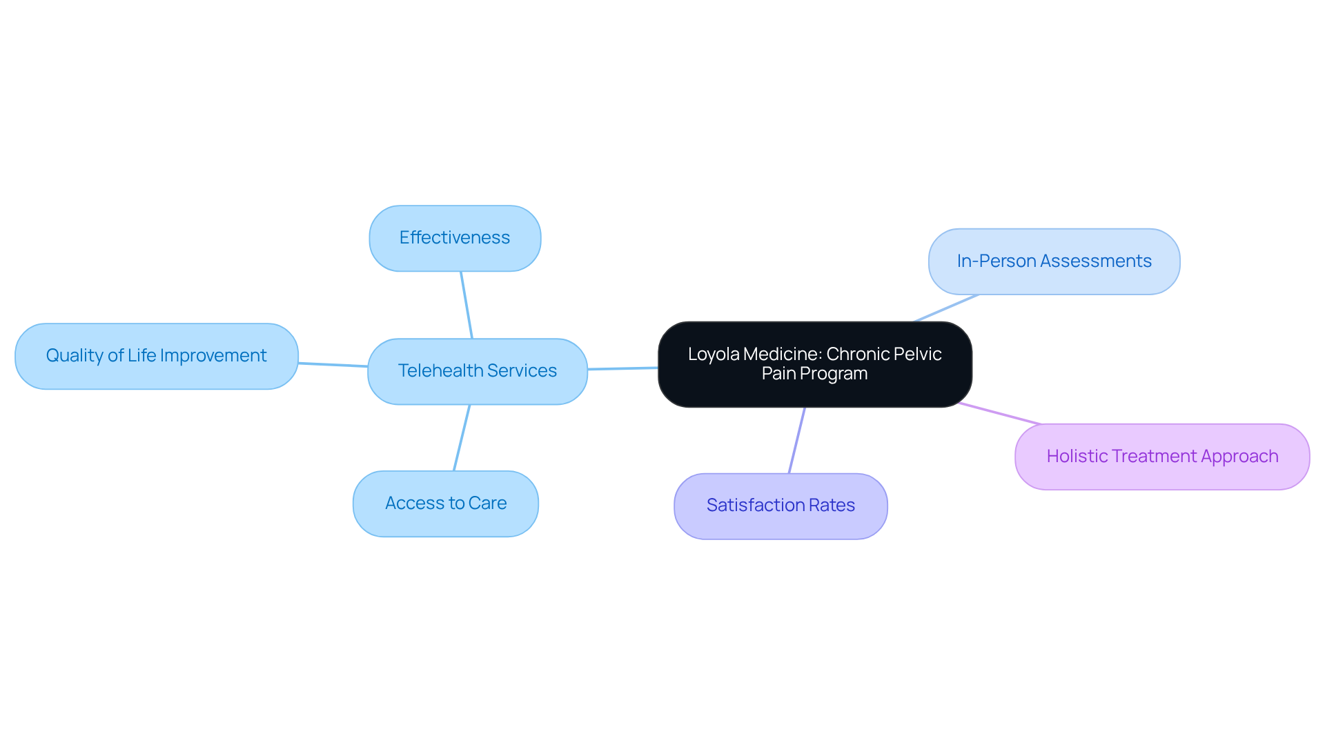 The central node represents the program, while branches show different aspects of care. Each branch highlights how telehealth, satisfaction, and personalized approaches contribute to managing chronic pelvic pain.