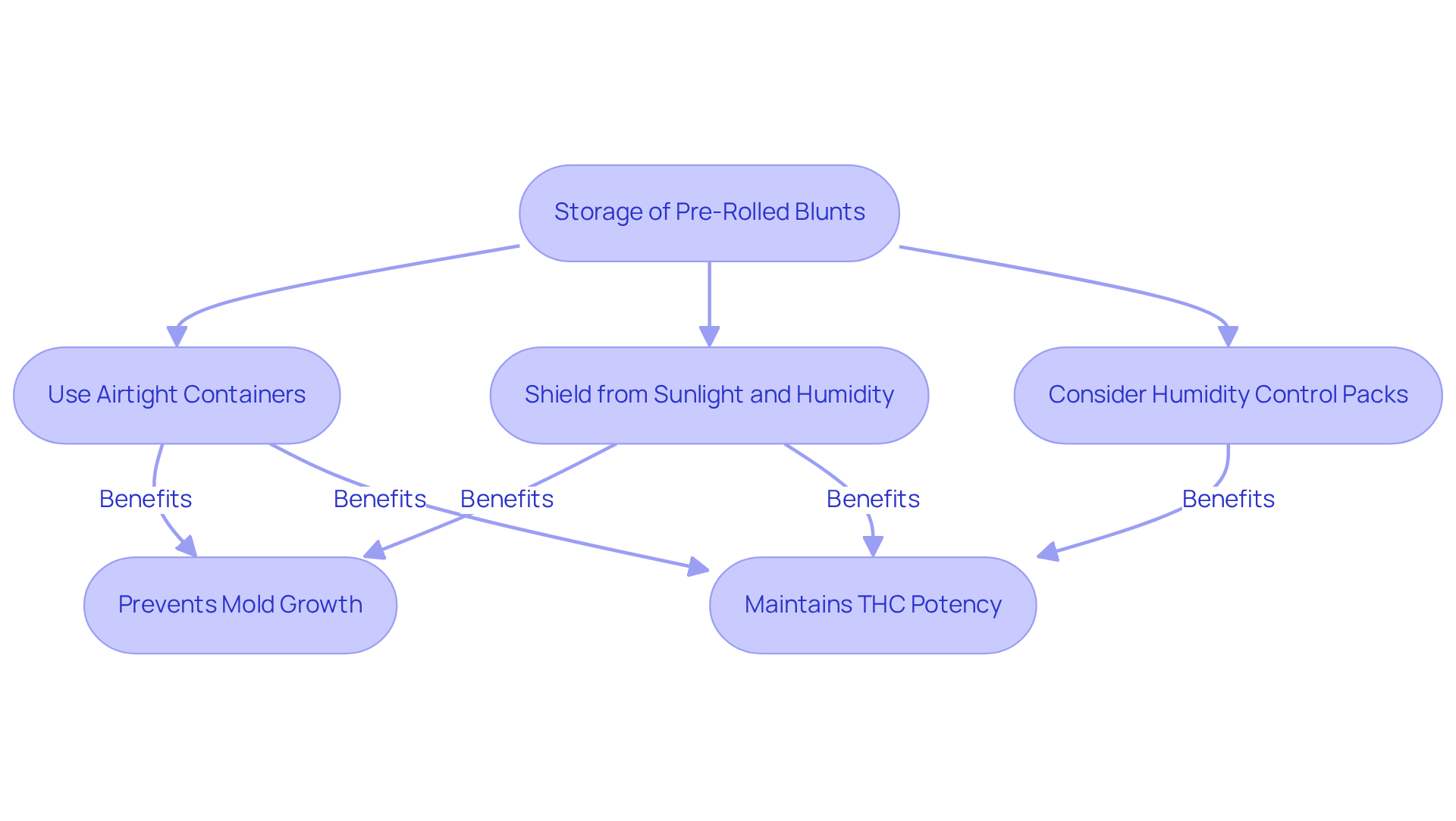 Follow the arrows to see the steps you can take to keep your pre-rolled blunts fresh — each action leads to benefits for your product's quality.