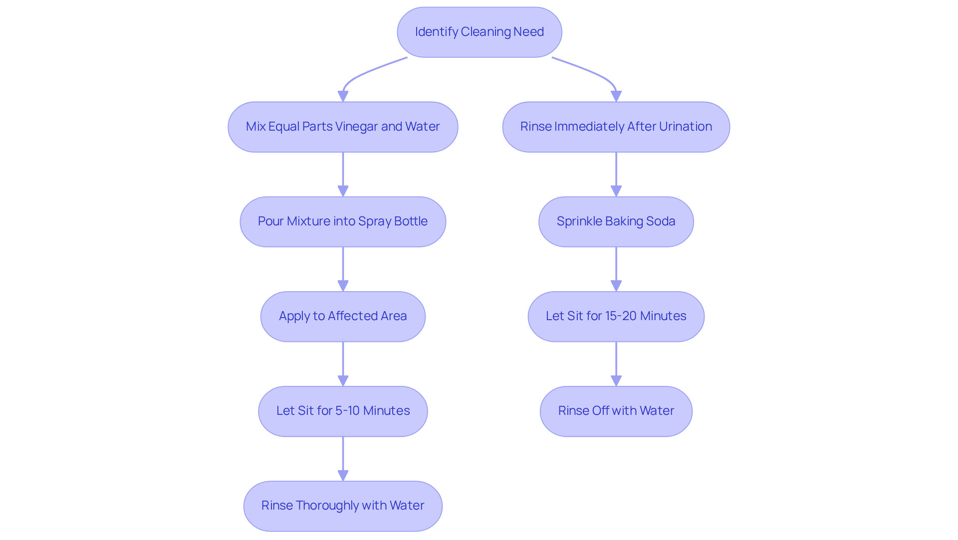 Each box represents a step in the cleaning process. Follow the arrows to see how to prepare and apply the cleaning solutions effectively.