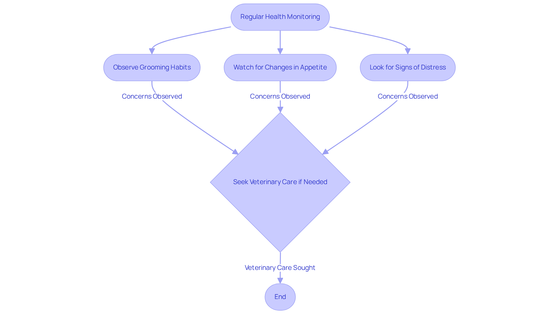Start with monitoring your cat's health and follow the arrows to see what signs to watch for and when to seek help.