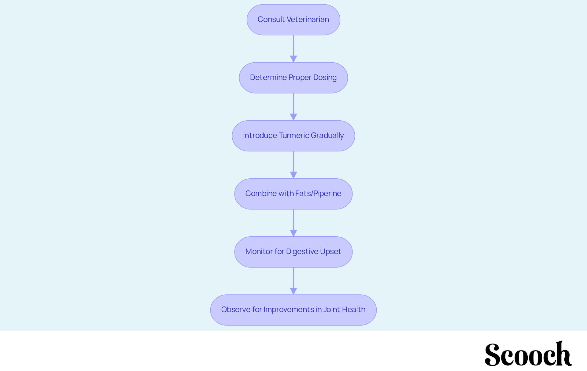 Follow the arrows to see the steps in introducing turmeric to your dog's diet, from consulting a vet to monitoring how your dog responds. Each box represents a key action or consideration in this process.