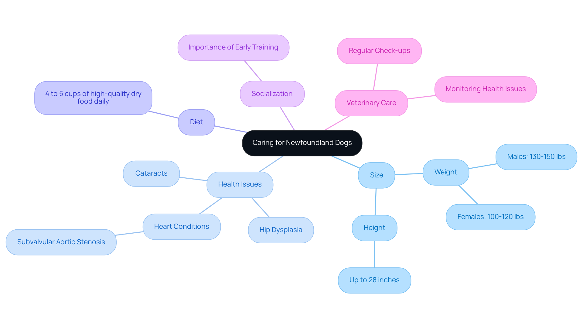 Start with the central theme of caring for Newfoundland dogs, then explore each branch for detailed insights. Each area represents crucial aspects of their care, from size to health and nutrition.