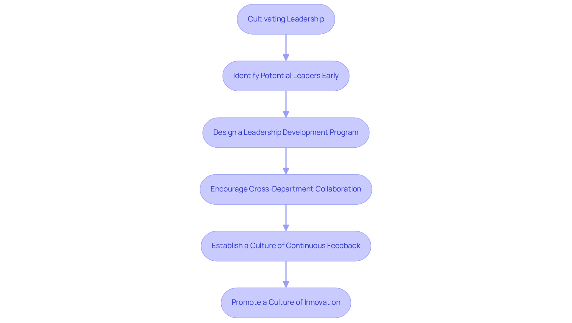 This flowchart outlines the key practices for developing future leaders in your organization. Each box represents a step in the process, showing how to build effective leadership from identifying potential leaders to fostering innovation.