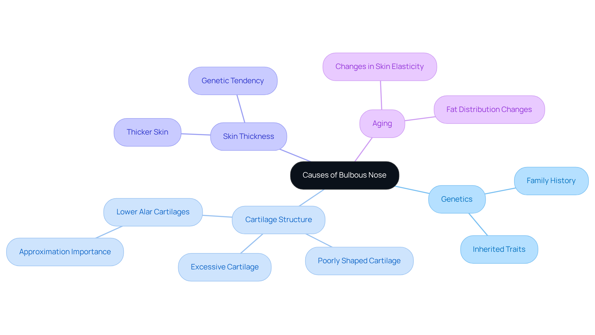 The center shows the main topic, and each branch represents a different factor contributing to a bulbous nose. Follow the branches to explore each cause and its significance. The center shows the main topic, and each branch represents a different factor contributing to a bulbous nose. Follow the branches to explore each cause and its significance.