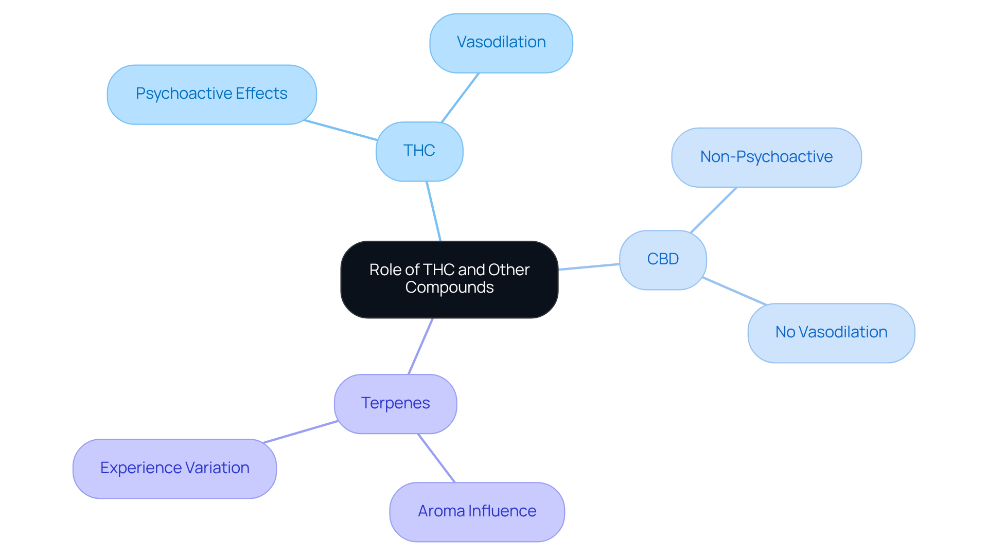 The central node represents the main topic, while the branches show how THC, CBD, and terpenes relate to each other and their effects. Explore each branch to learn more about how these compounds shape your cannabis experience. The central node represents the main topic, while the branches show how THC, CBD, and terpenes relate to each other and their effects. Explore each branch to learn more about how these compounds shape your cannabis experience.