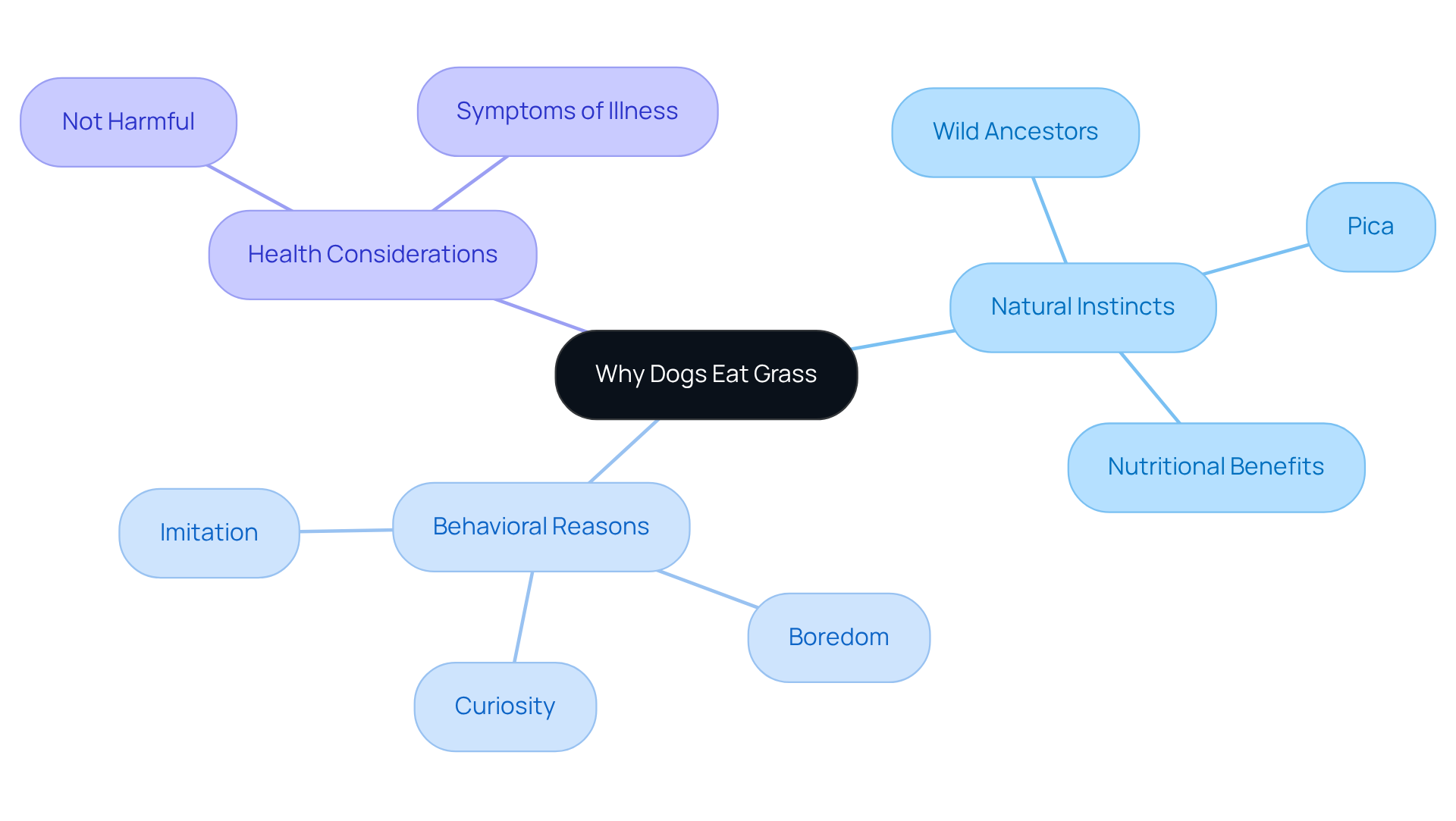 This mindmap helps you explore why dogs eat grass. Start at the center with the main topic, then follow the branches to see the different reasons, instincts, and health aspects related to this behavior. Each color-coded branch makes it easy to understand the connections. This mindmap helps you explore why dogs eat grass. Start at the center with the main topic, then follow the branches to see the different reasons, instincts, and health aspects related to this behavior. Each color-coded branch makes it easy to understand the connections.