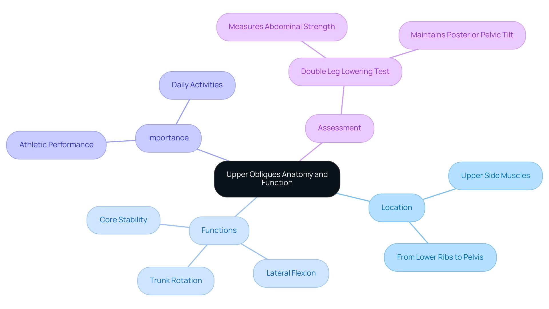 The central node represents the upper obliques, with branches indicating their location, functions, importance, and assessment methods.