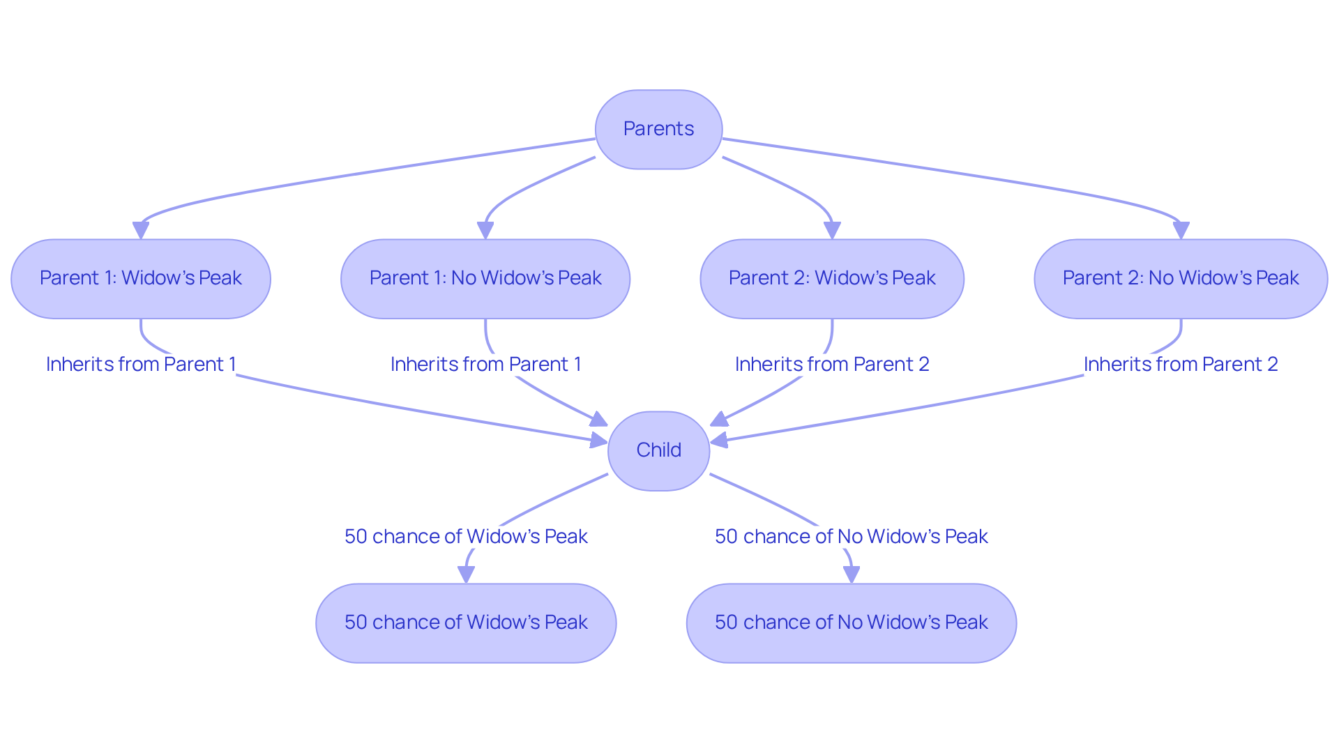 This flowchart illustrates how the widow's peak trait can be passed from parents to children. Follow the arrows to see how each parent's traits contribute to the child's likelihood of inheriting the widow's peak characteristic.